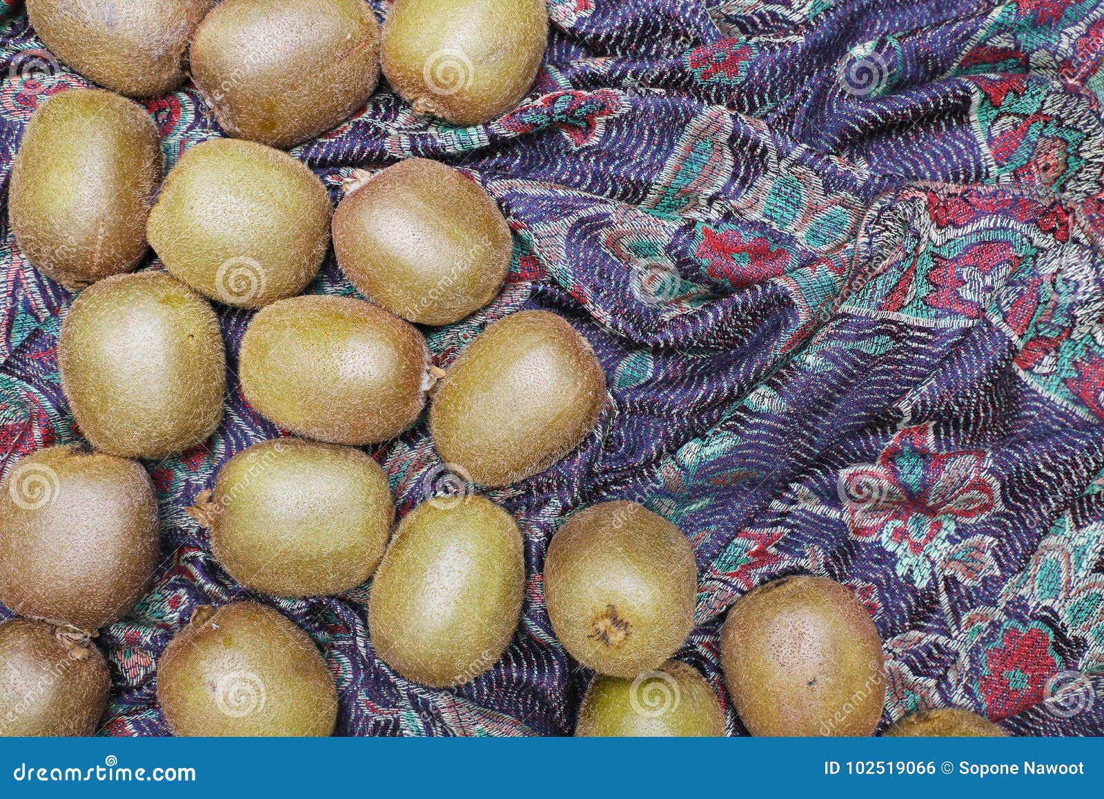 Kiwi Fruits foto de archivo. Imagen de alimento, colorido - 102519066