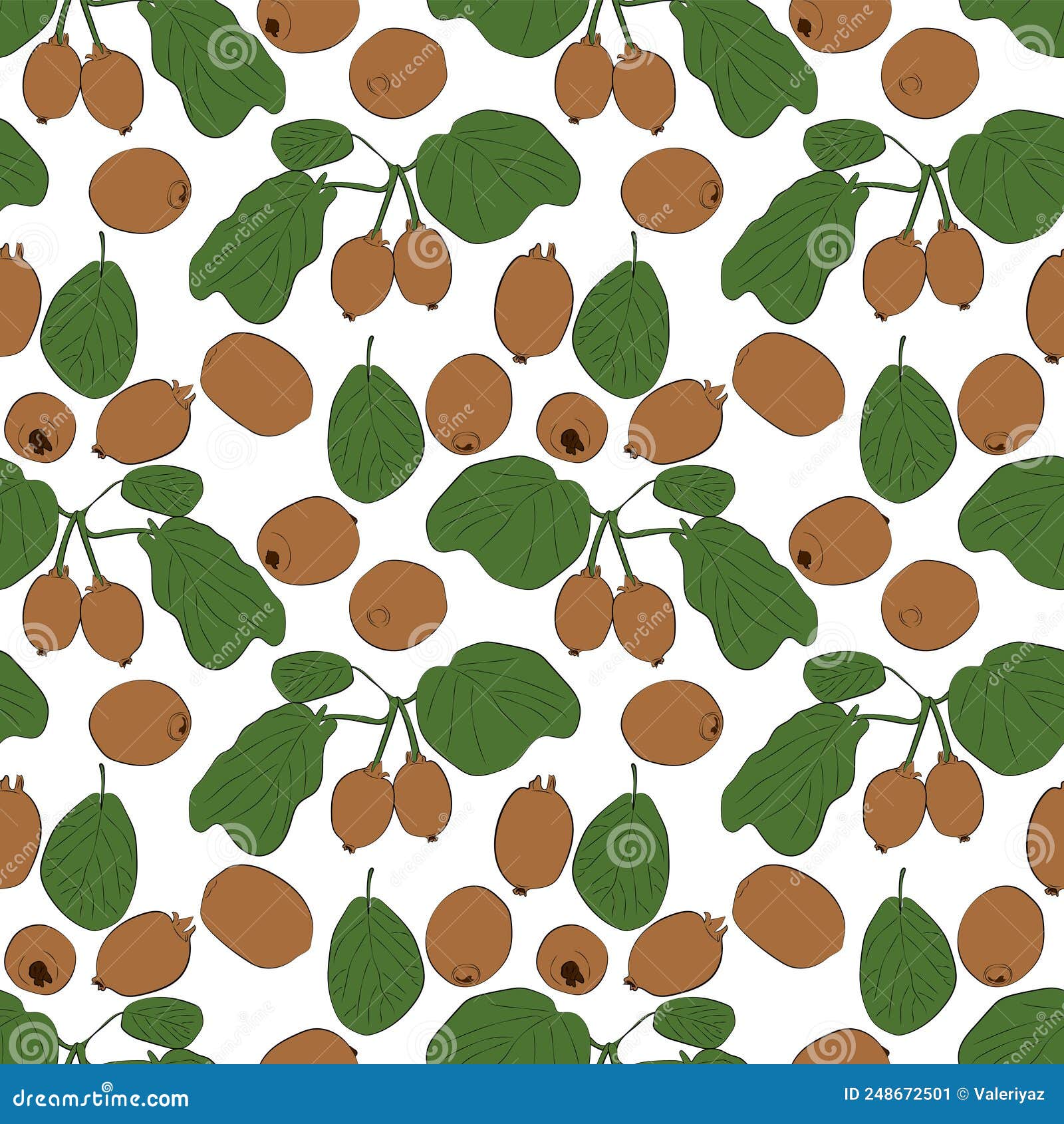A Set of Seamless Patterns with Kiwi. Vector Graphics, 1000x1000. Stock ...