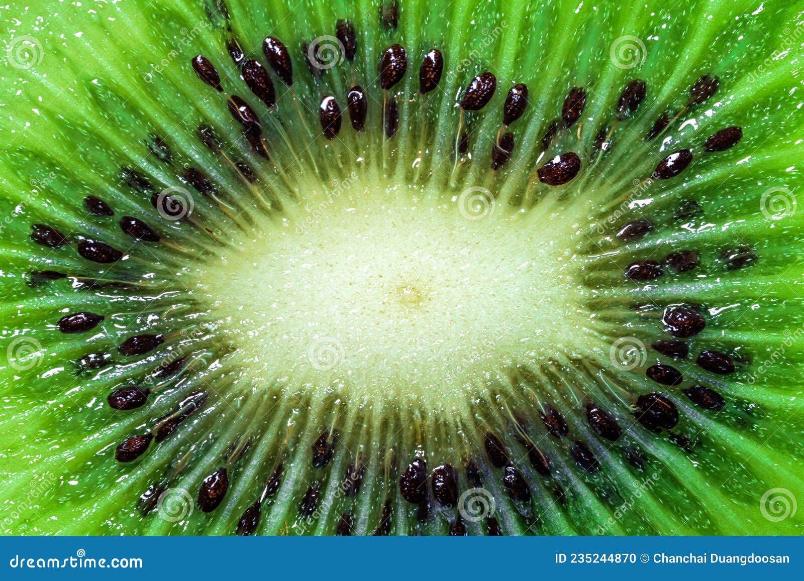 Kiwi Macro Texture,slice of Kiwi Fruit on a Full Frame Stock Photo ...