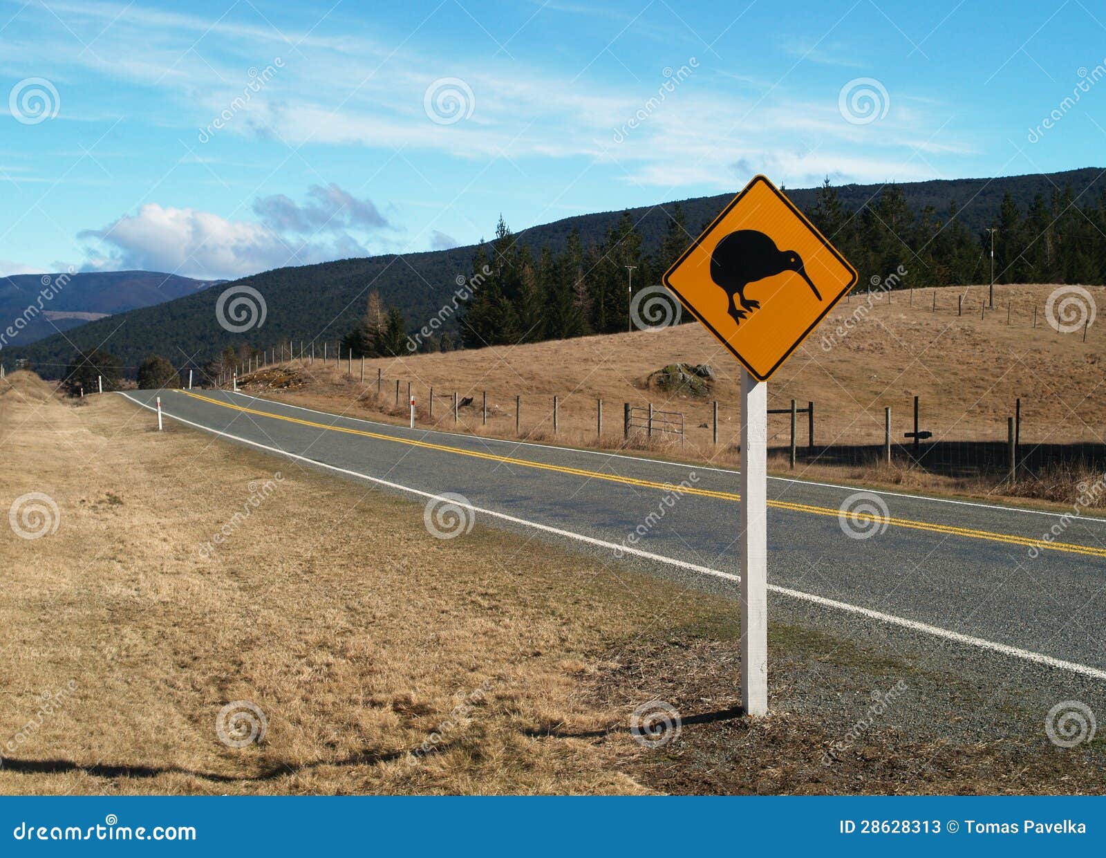 Kiwi road sign stock image. Image of rectangle, warning - 28628313