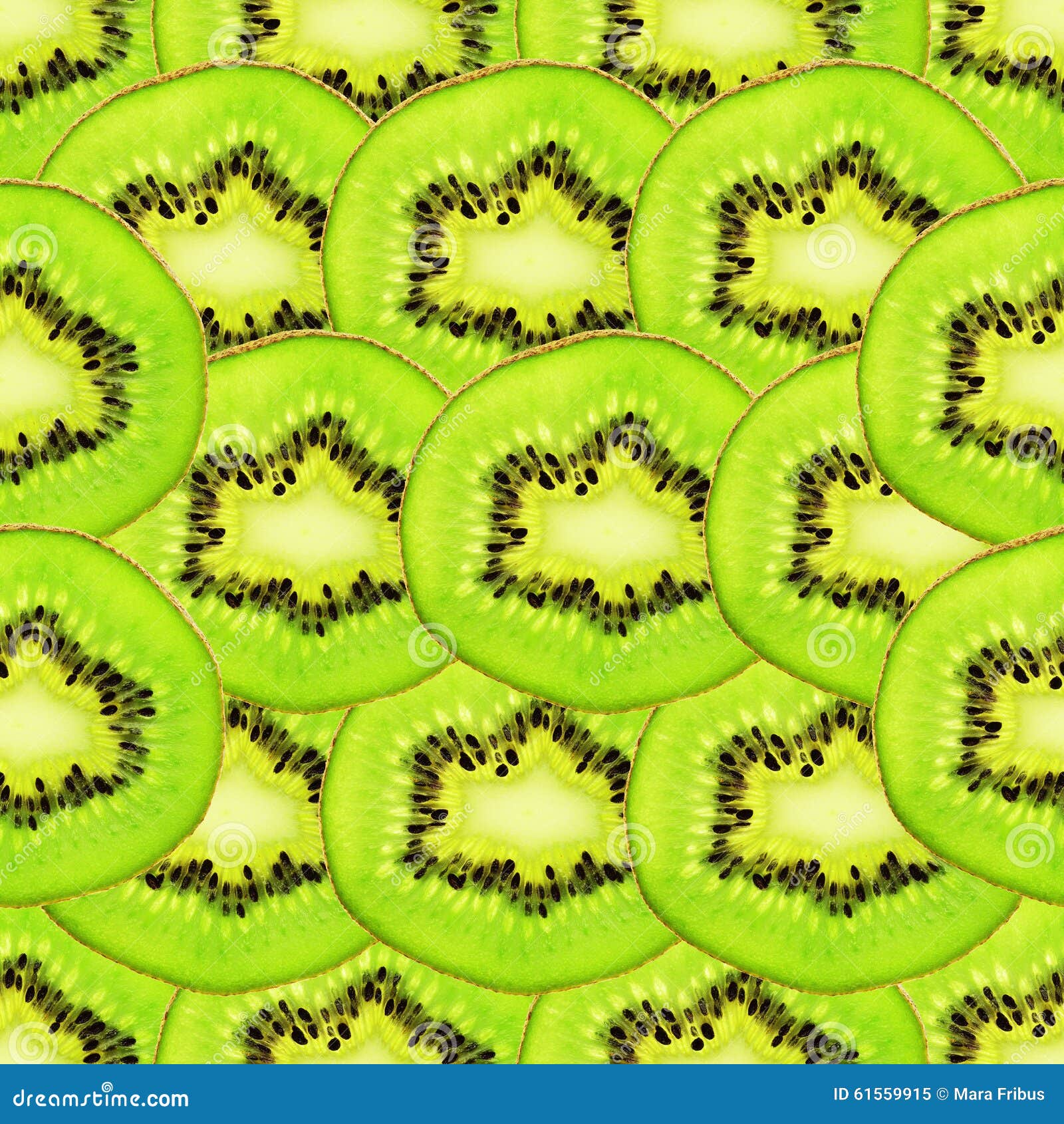 Kiwi seamless background stock image. Image of front - 61559915