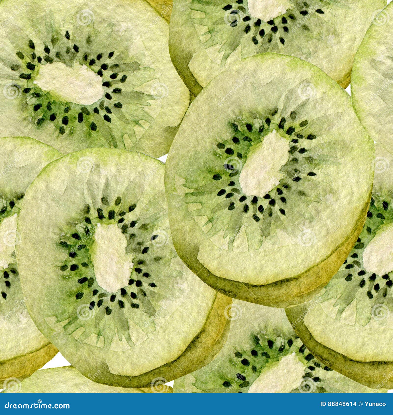 Kiwi Seamless Pattern. Hand Drawn Illustration of Fruits on White ...