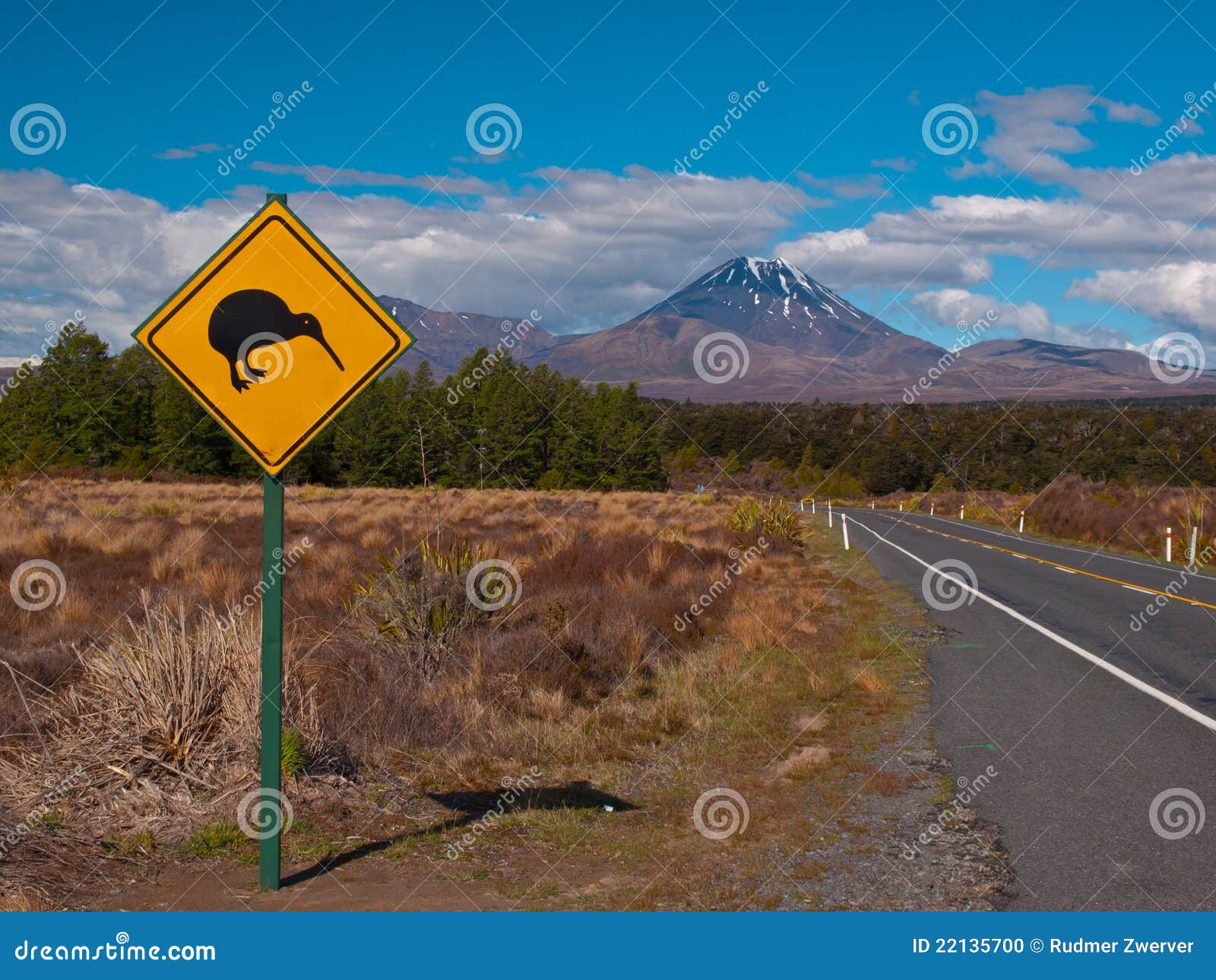 Kiwi sign stock photo. Image of park, aware, ecological - 22135700