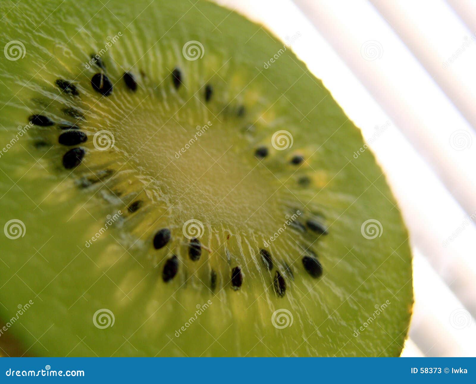 Kiwi slice stock image. Image of macro, appetizing, slices - 58373
