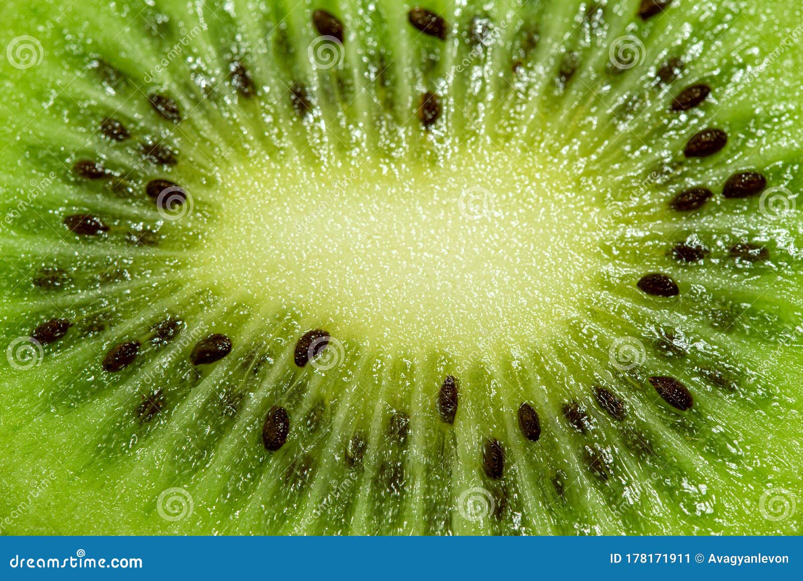 Kiwi Slice Texture Background Stock Image - Image of texture, white ...