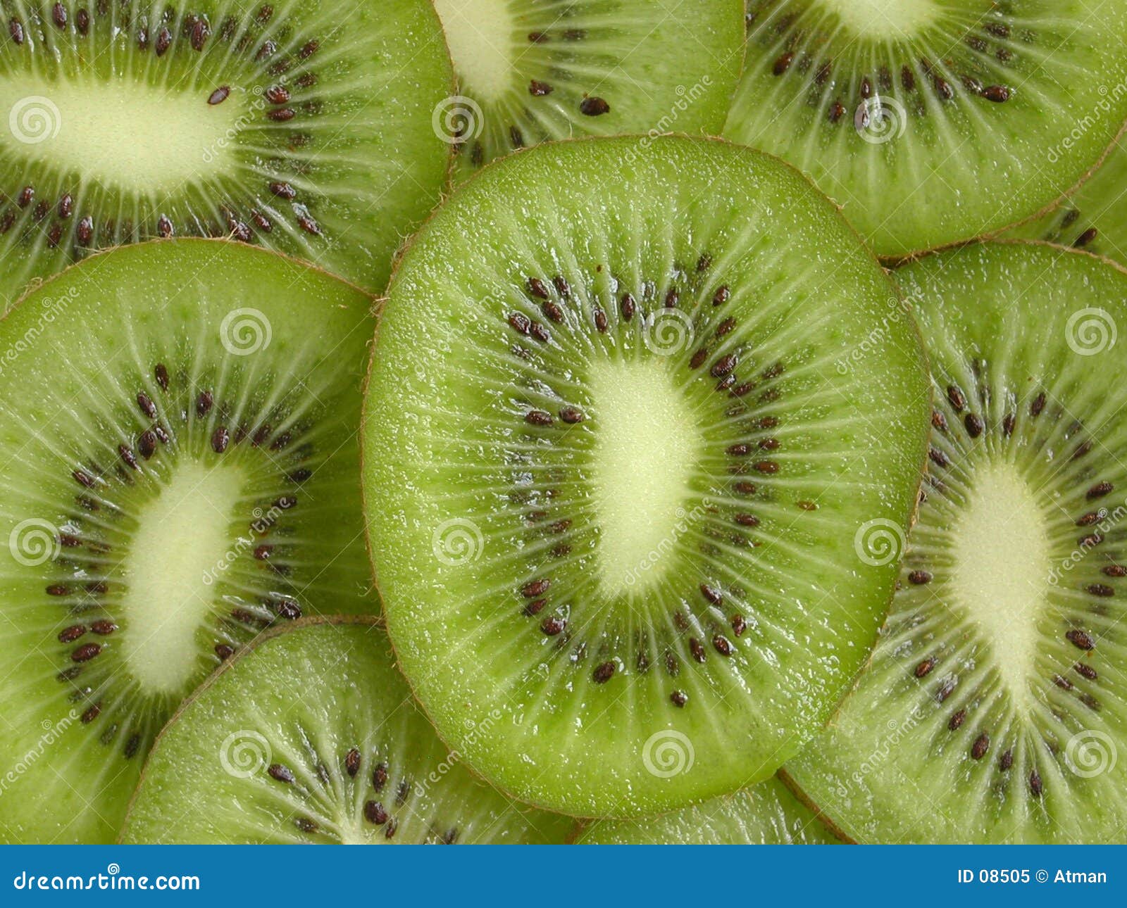 Kiwi Slices stock image. Image of slices, food, vegetables - 8505