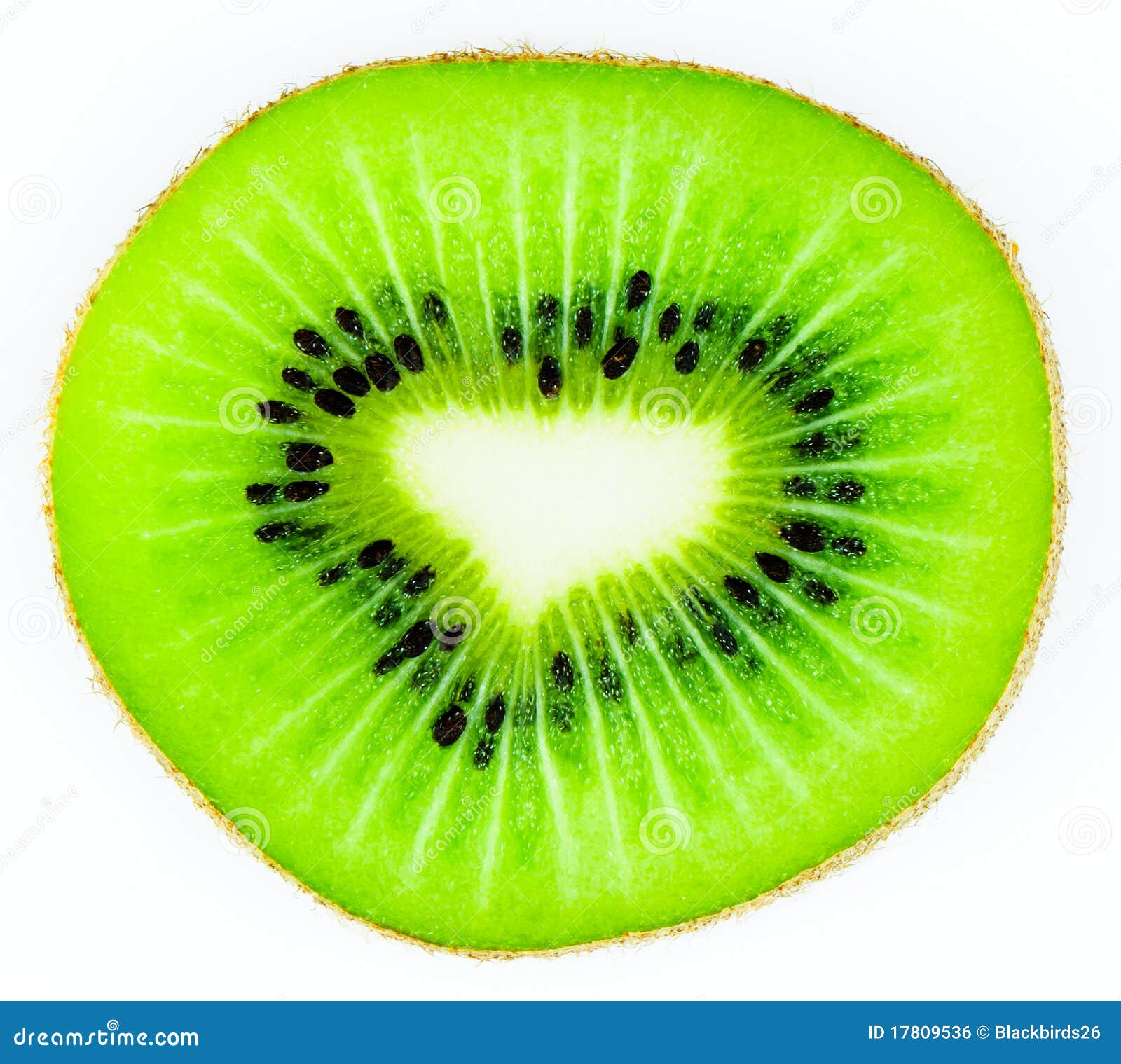 Kiwi slices stock photo. Image of climate, white, sweet - 17809536