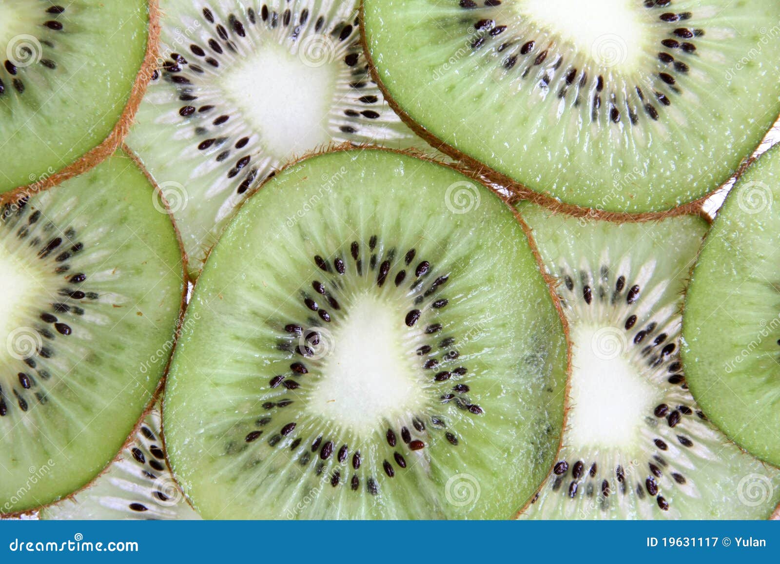 Kiwi slices stock image. Image of seed, food, peel, kiwi - 19631117