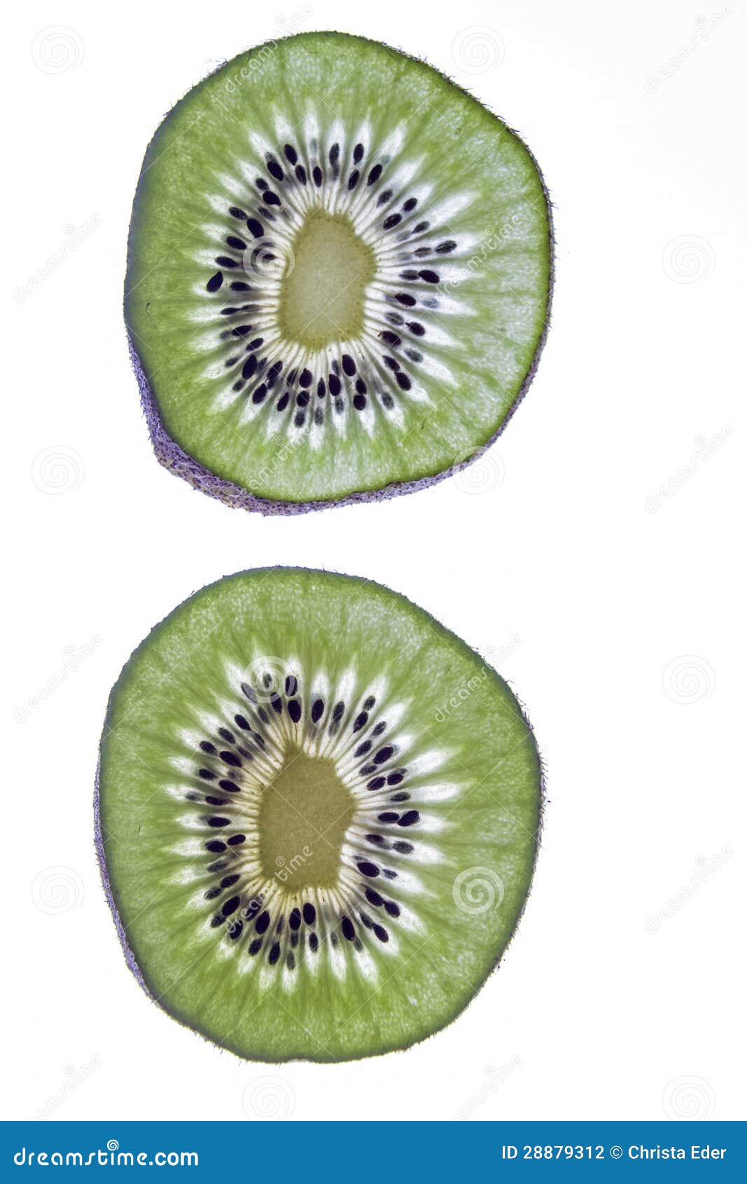 Kiwi slices stock photo. Image of fruit, closeup, flesh - 28879312