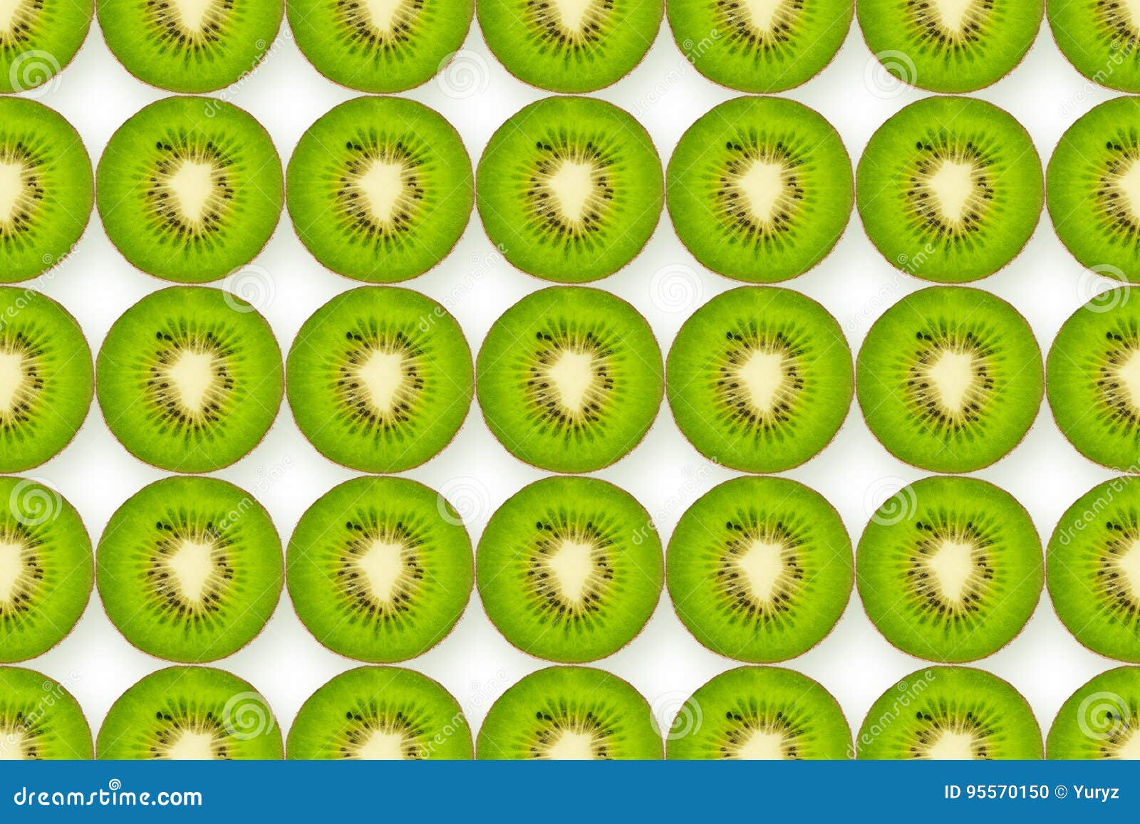 Kiwi Slices Pattern on White Stock Photo - Image of kiwi, pattern: 95570150