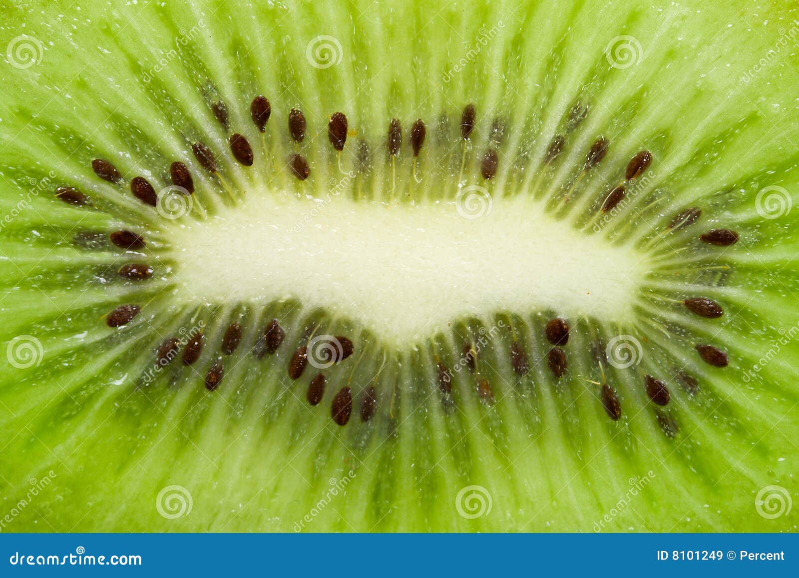 Kiwi texture stock image. Image of sweet, seed, textured - 8101249