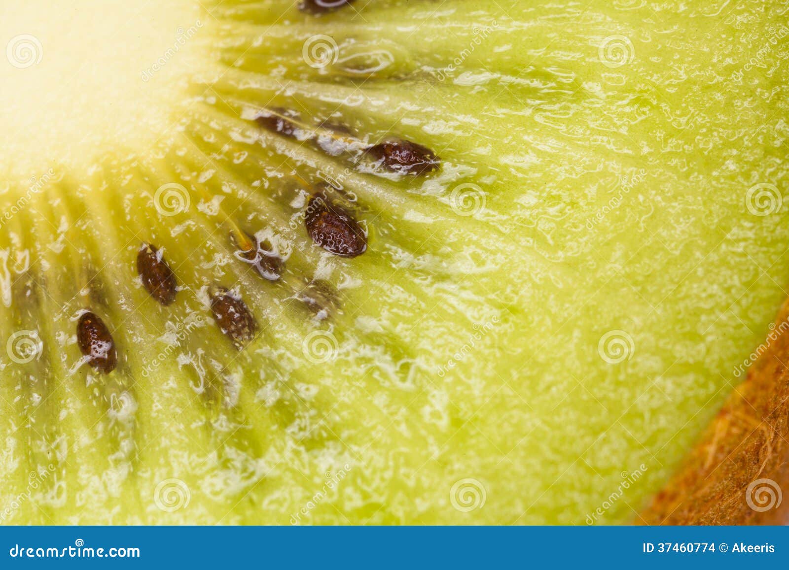 Kiwi texture stock photo. Image of single, healthy, texture - 37460774