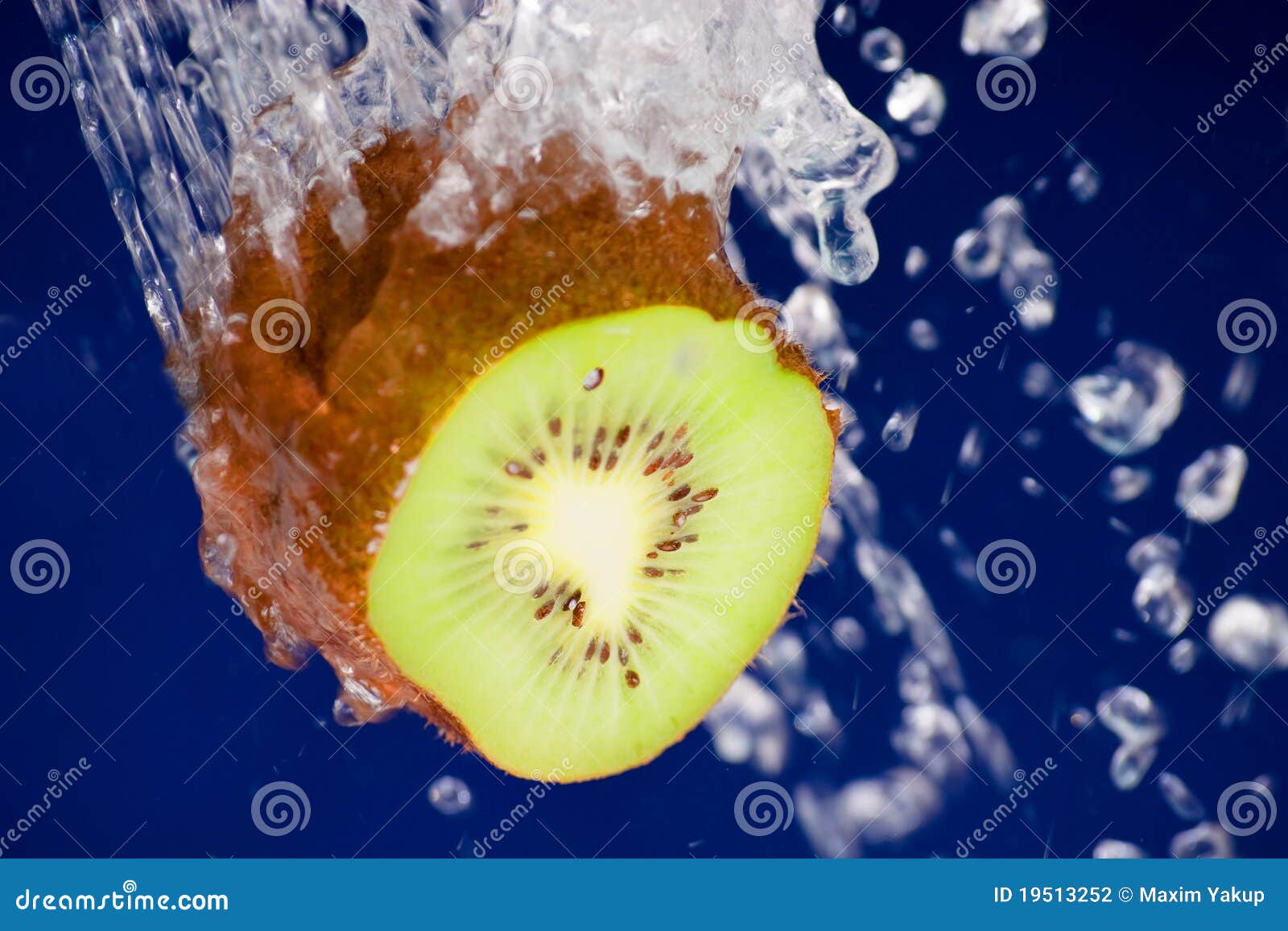 Kiwi in water stock photo. Image of blue, washing, falling - 19513252