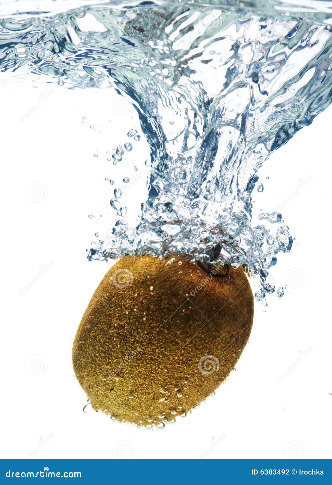 Kiwi in water stock photo. Image of green, background - 6383492