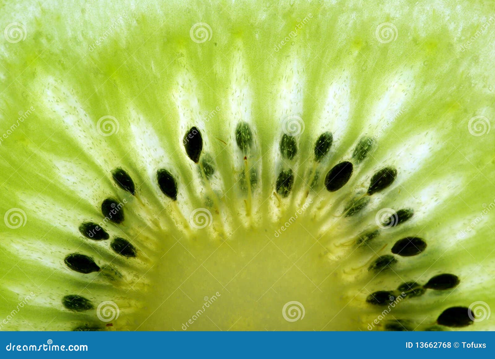 Kiwifruit stock photo. Image of green, freshness, sliced - 13662768