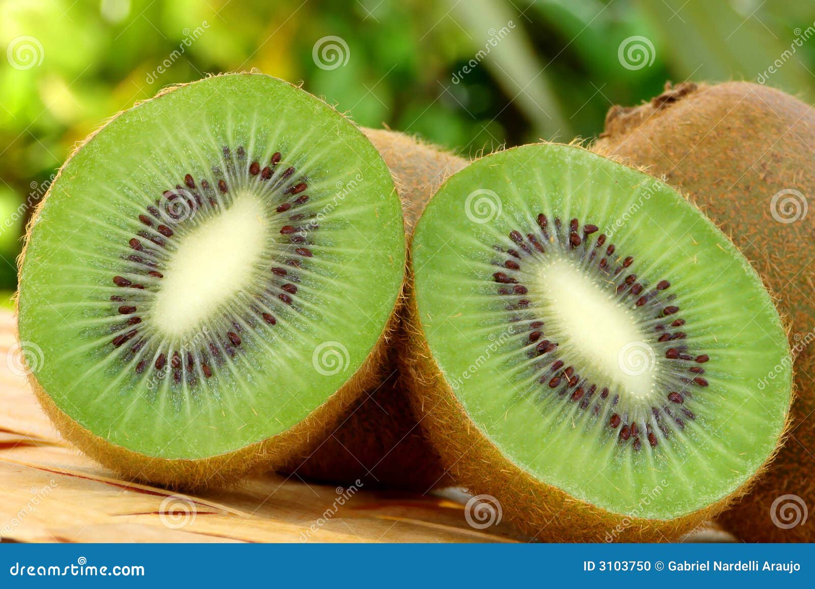 Kiwis stock photo. Image of health, plants, garden, summer - 3103750