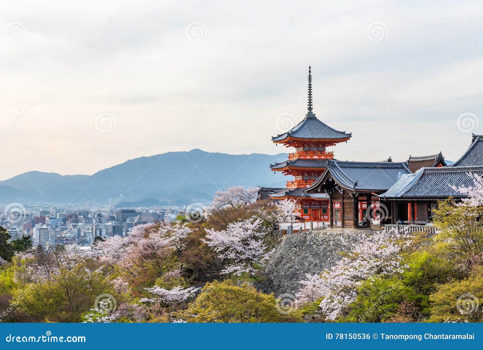 Kiyomizu Dera Temple in Spring Stock Photo - Image of city, culture ...