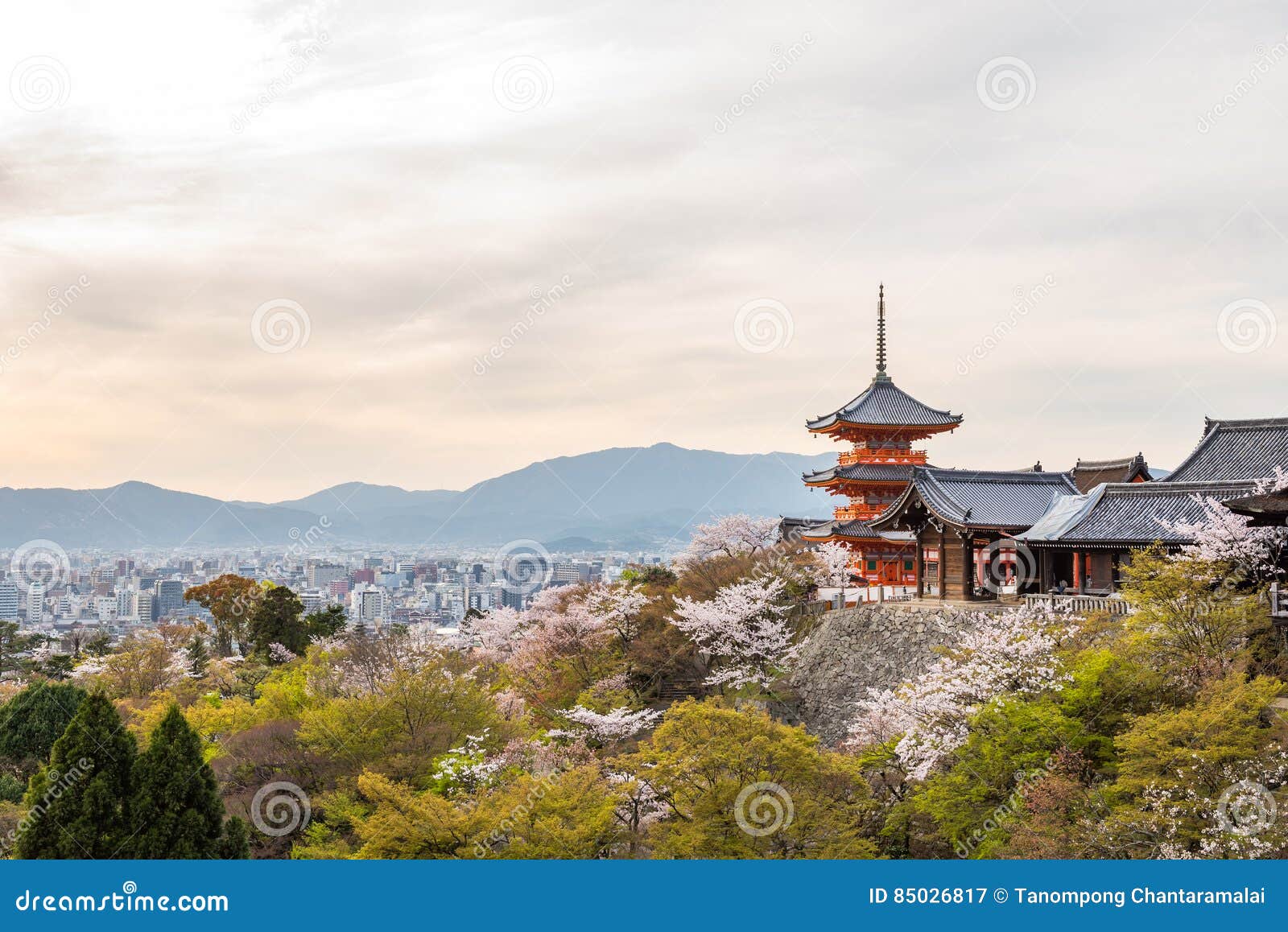 Kiyomizu Dera Temple in Spring Stock Image - Image of religion, nature ...
