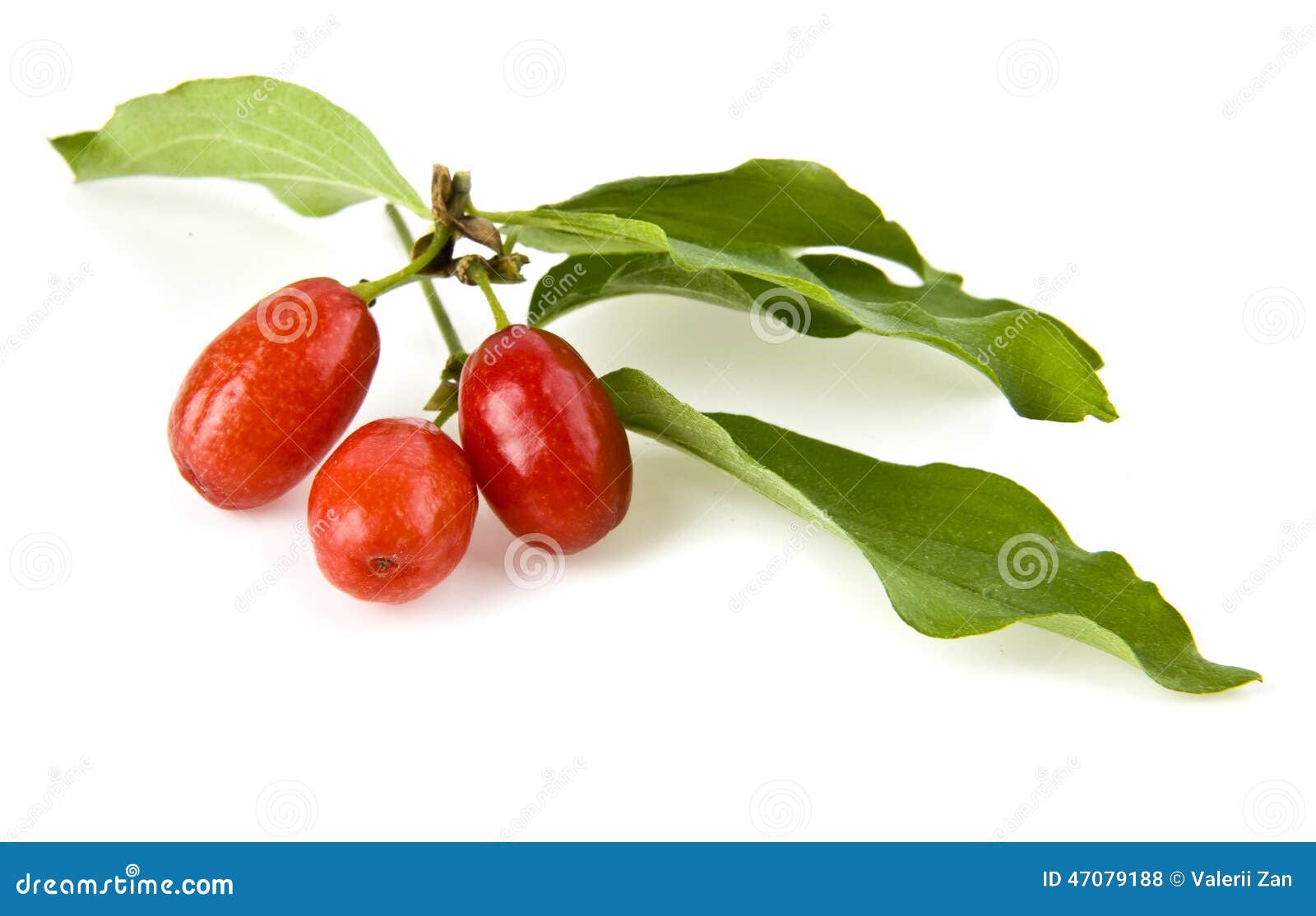 Kizil стоковое фото. изображение насчитывающей бакалея - 47079188