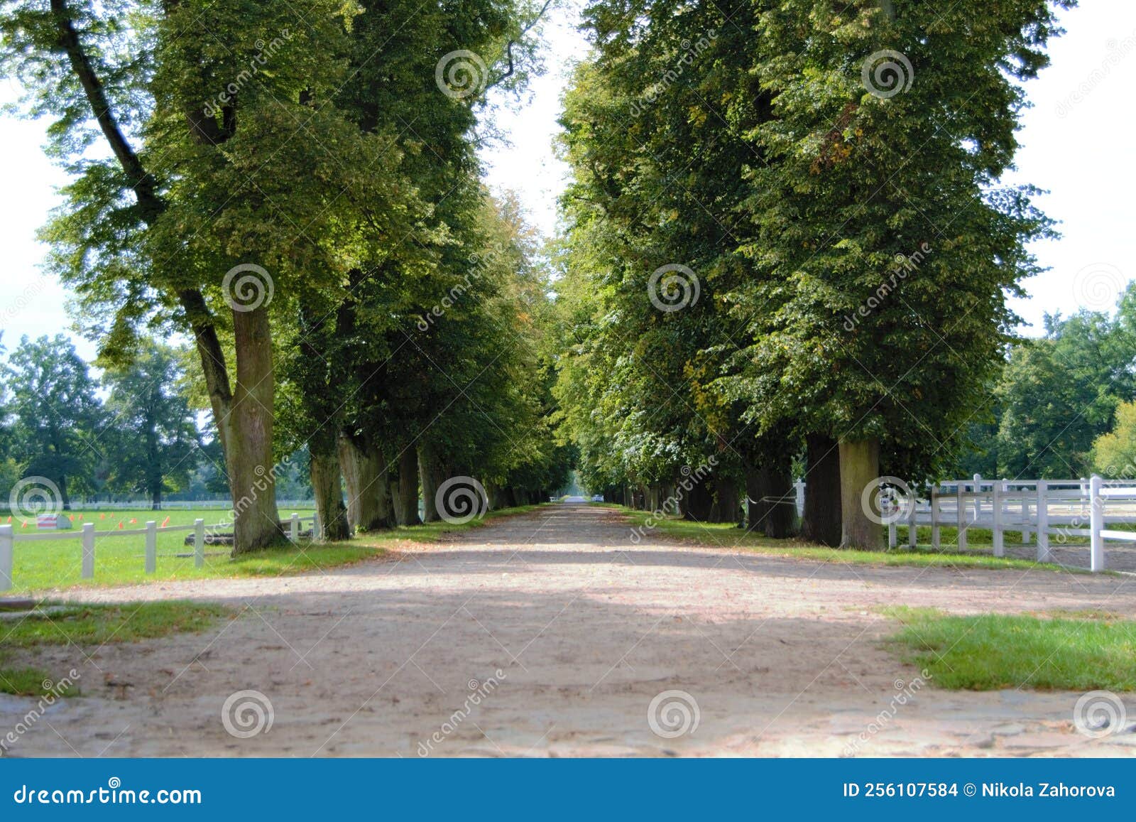 Kladruby Nad Labem National Stud Stock Photos - Free & Royalty-Free ...
