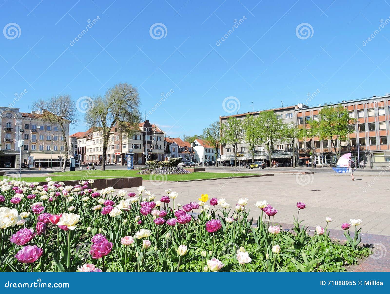 Klaipeda Old Town, Lithuania Editorial Image - Image of town, plant ...