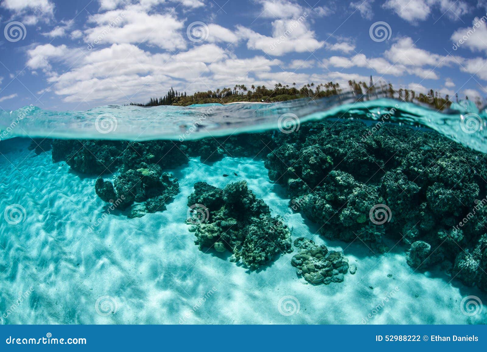 Klares Wasser, Riff Und Insel Stockfoto - Bild von meer, riff: 52988222