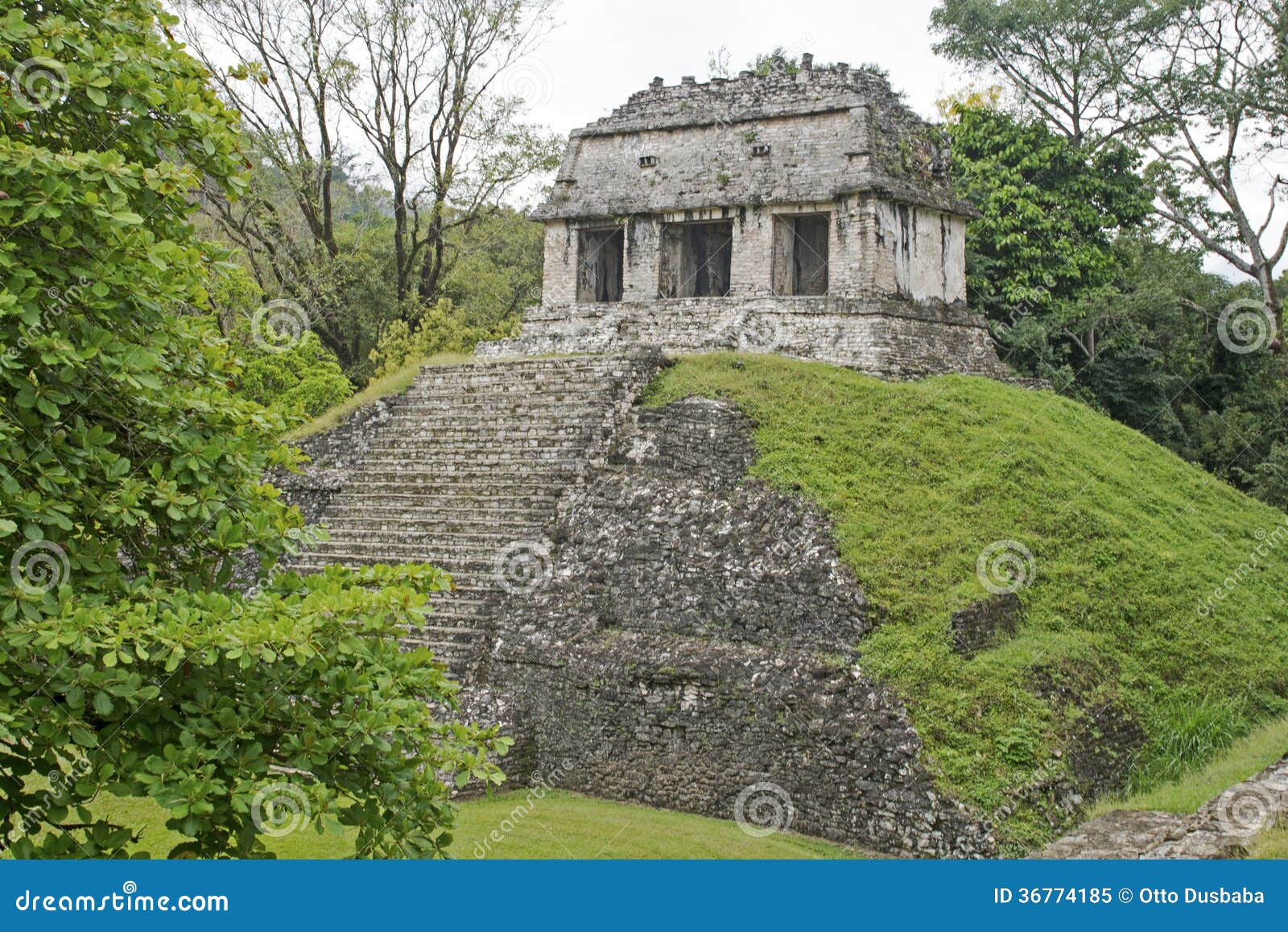 Klassieke Maya Tempel in Palenque Stock Afbeelding - Image of steenwand ...