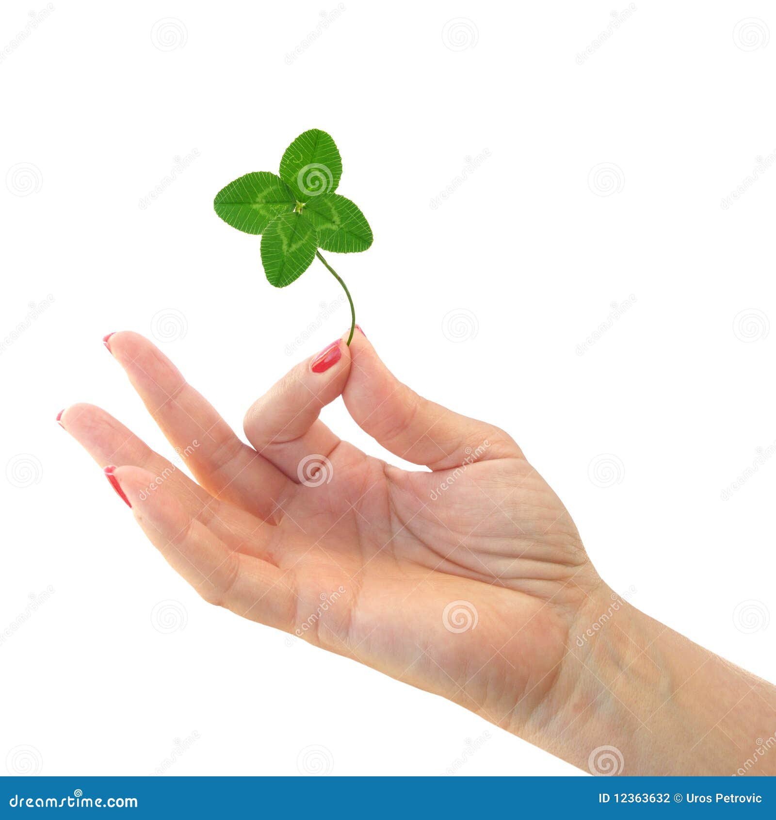 Klaver Met Vier Pamfletten Ter Beschikking Stock Foto - Image of ...