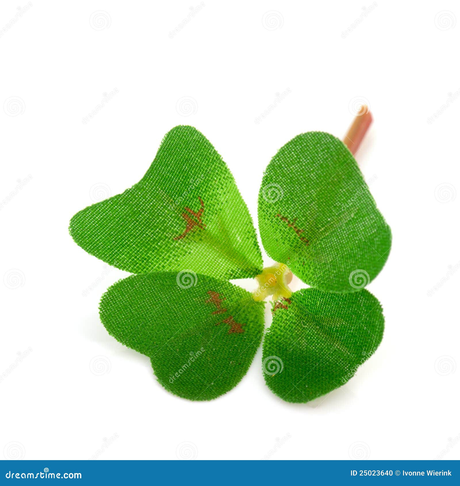 Klaver vier stock foto. Image of goed, klaver, geluk - 25023640