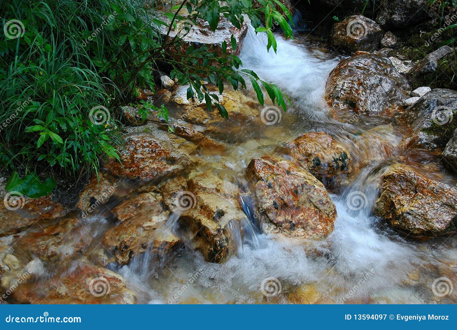 Kleine duidelijke beek stock afbeelding. Image of bruin - 13594097