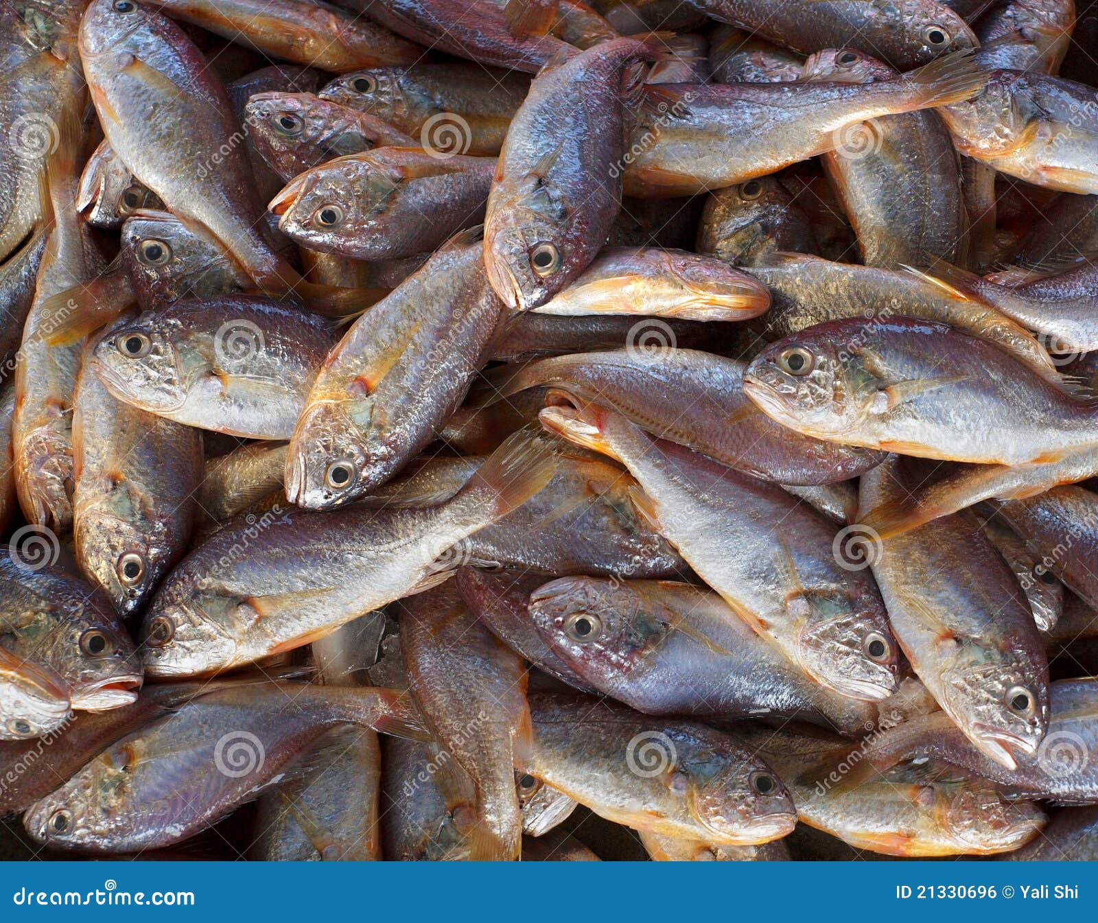 Kleine Eetbare Vissen Voor Verkoop Stock Foto - Image of koude ...