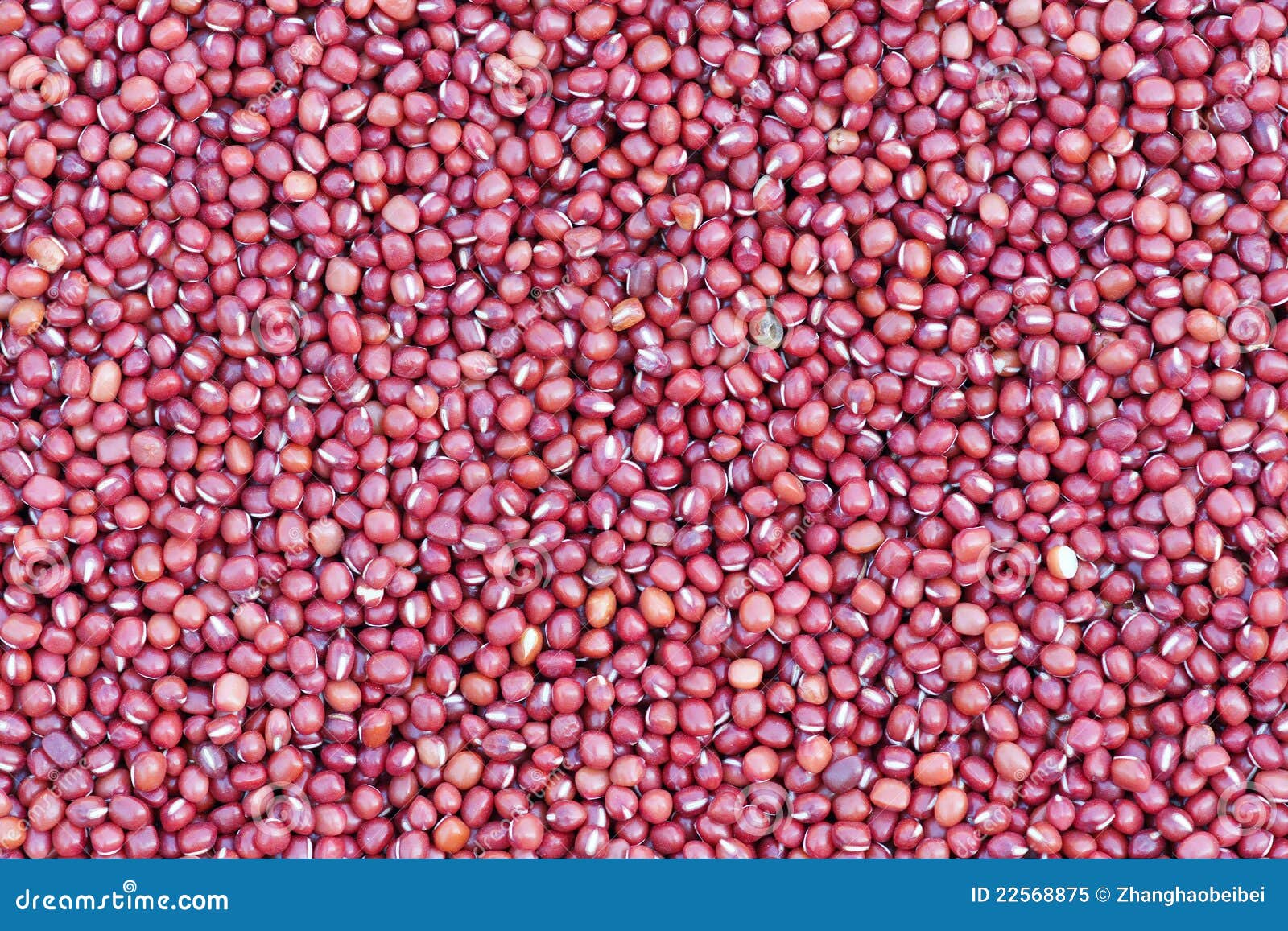 Kleine rote Bohnen stockbild. Bild von zubehör, körner - 22568875