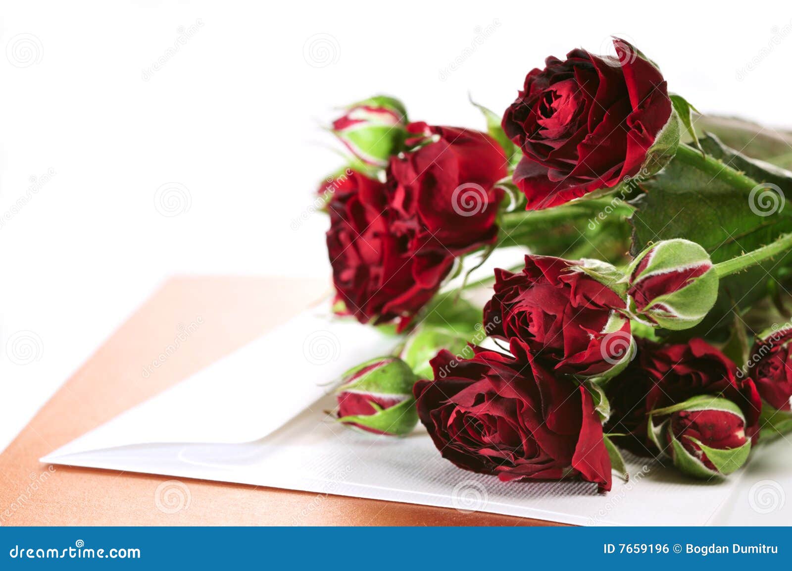 Kleine Rozen en Kaart stock foto. Image of seizoengebonden - 7659196