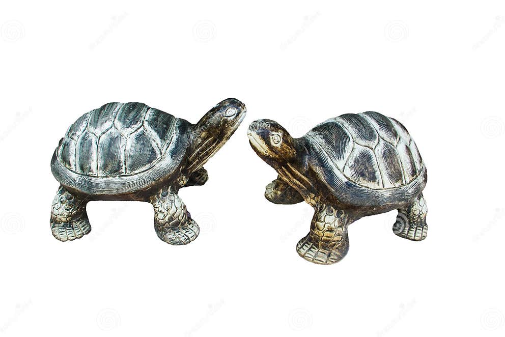 Kleine schildpadden stock afbeelding. Image of huisdier - 32394337