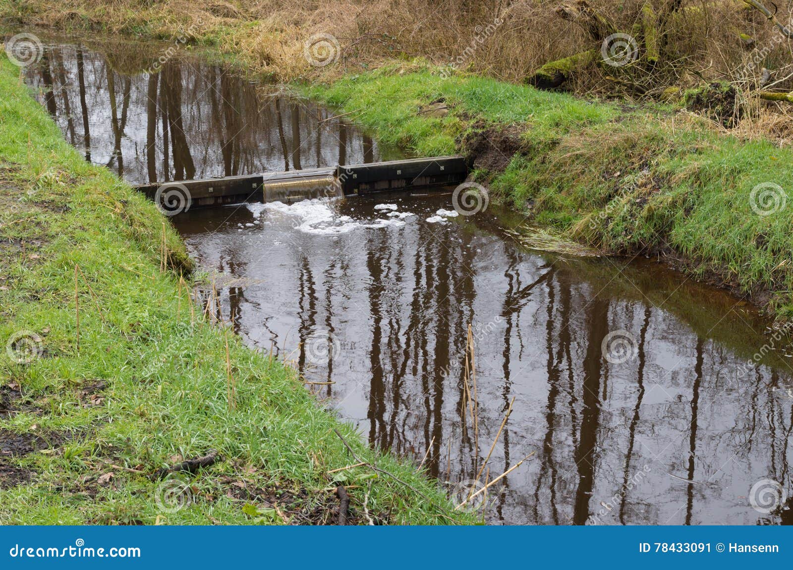 Kleine sloot stock afbeelding. Image of banken, naughty - 78433091