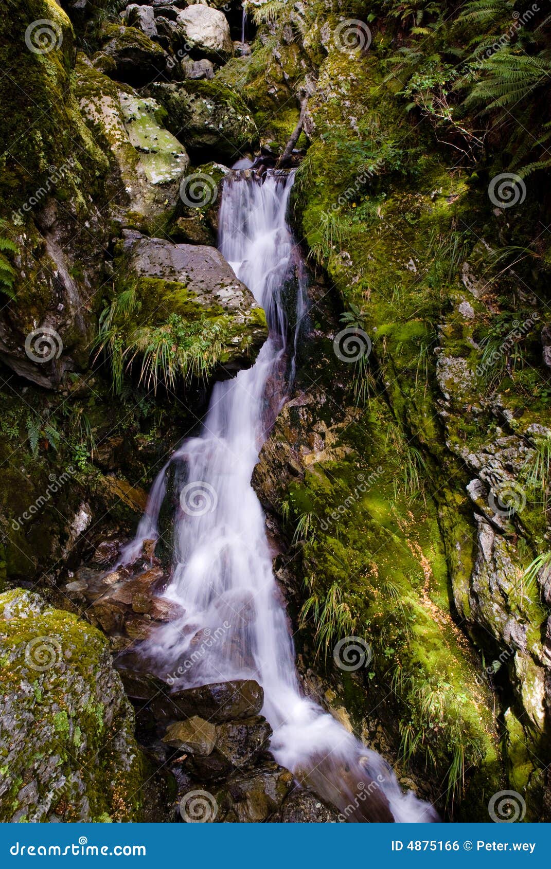 Kleine waterval in oerwoud stock foto. Image of groen - 4875166