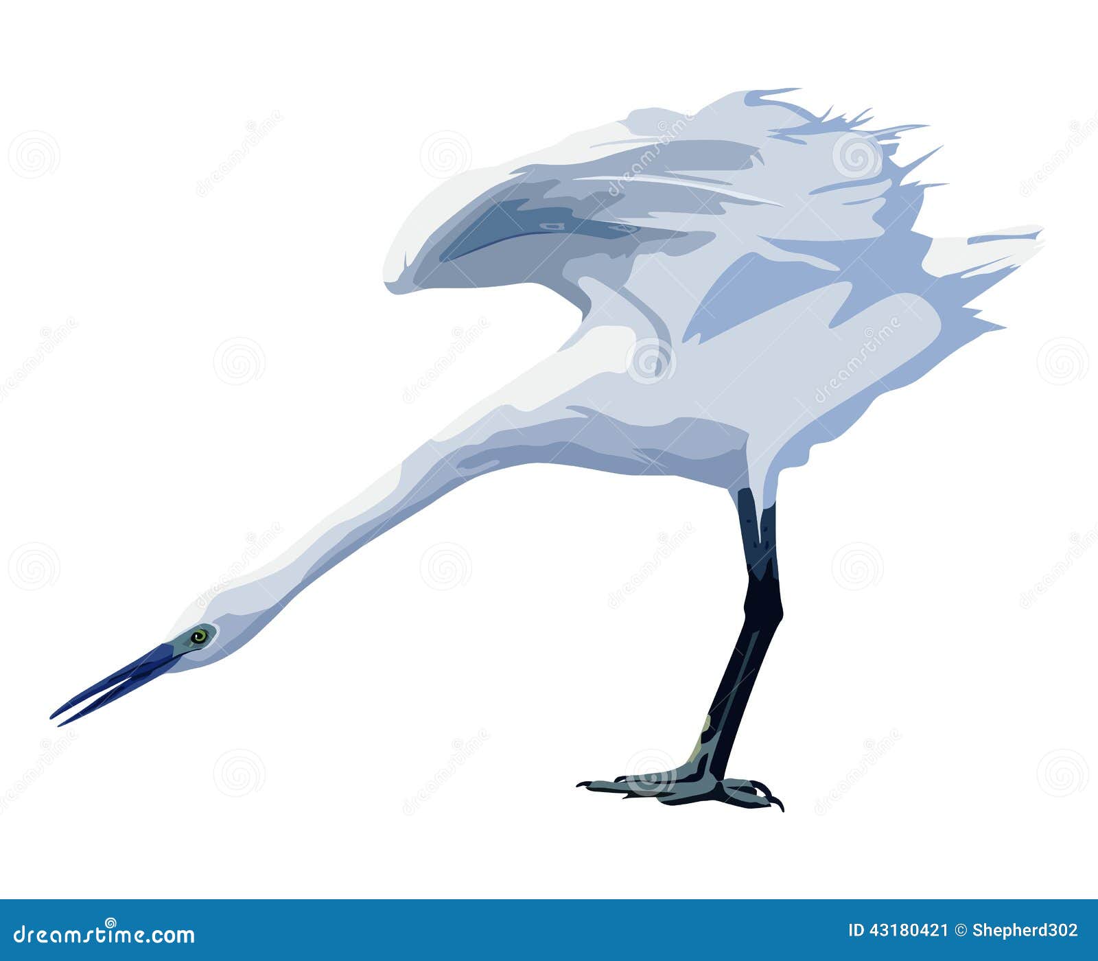 Kleine witte reiger vector illustratie. Illustration of cursus - 43180421