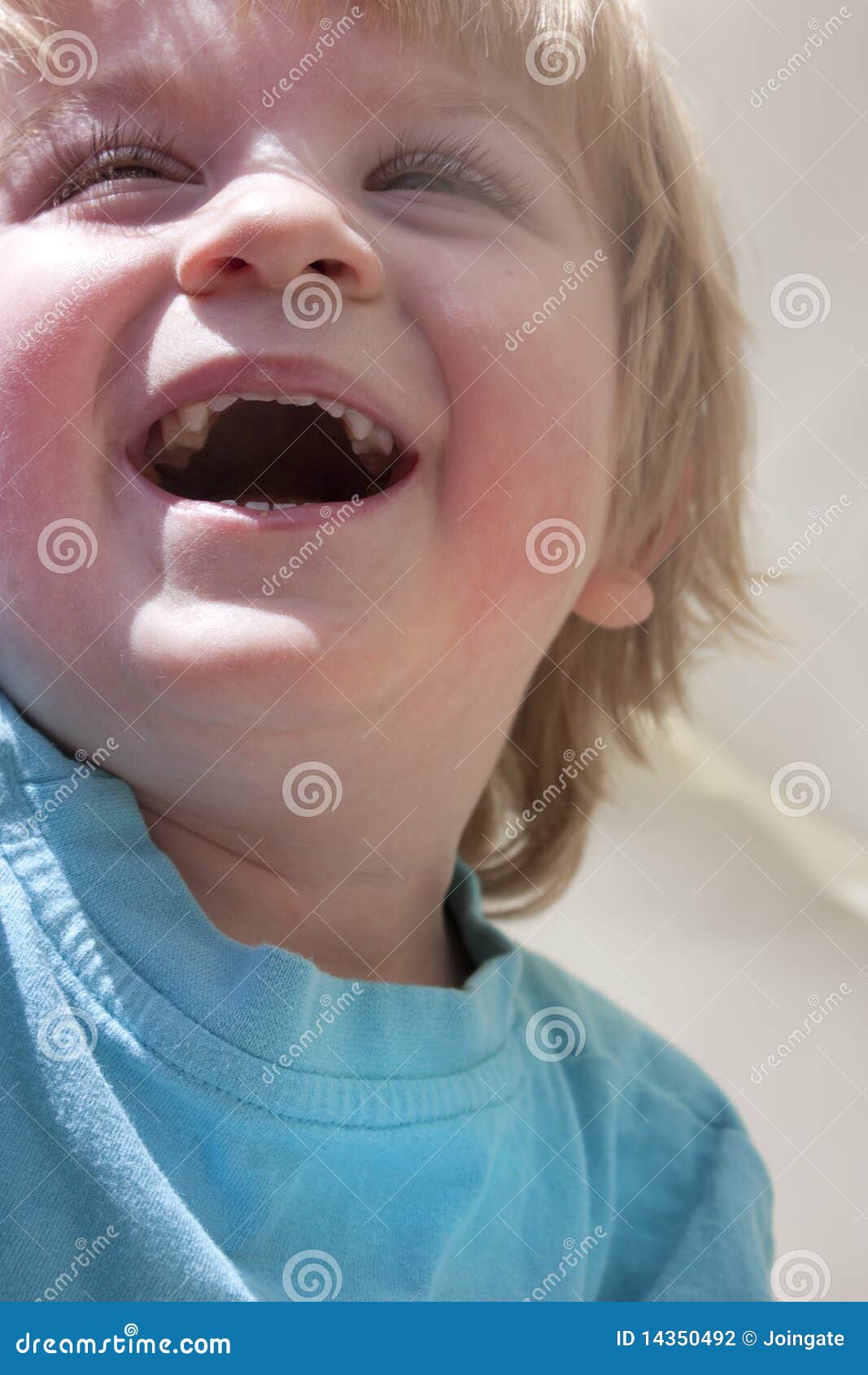 Kleiner Junge, Der Heraus Loud Lacht Stockfoto - Bild von aufwärts ...