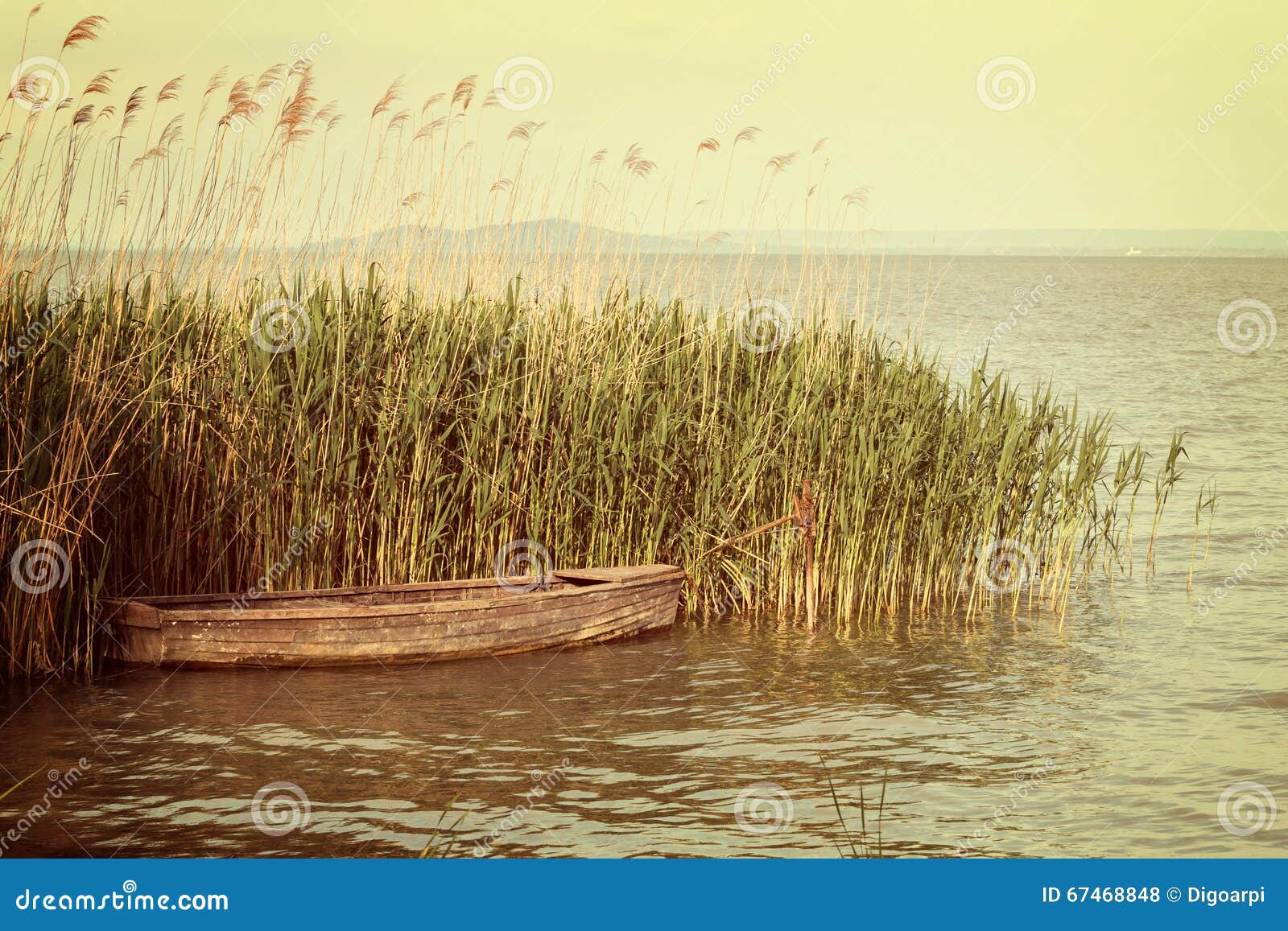 Kleines Boot auf dem See stockfoto. Bild von ufer, schilf - 67468848