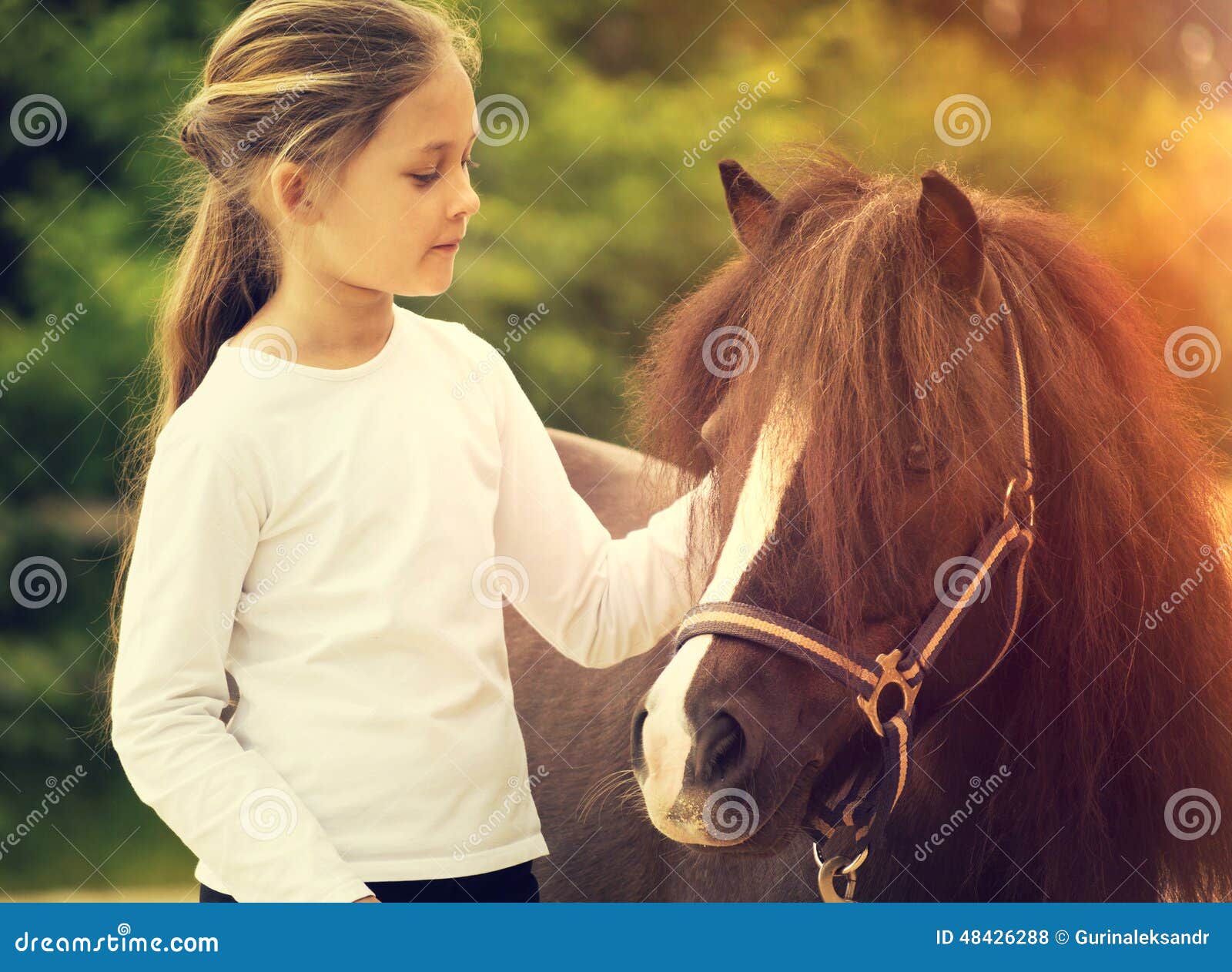 Kleines Kind und Pony stockfoto. Bild von pferd, sport - 48426288