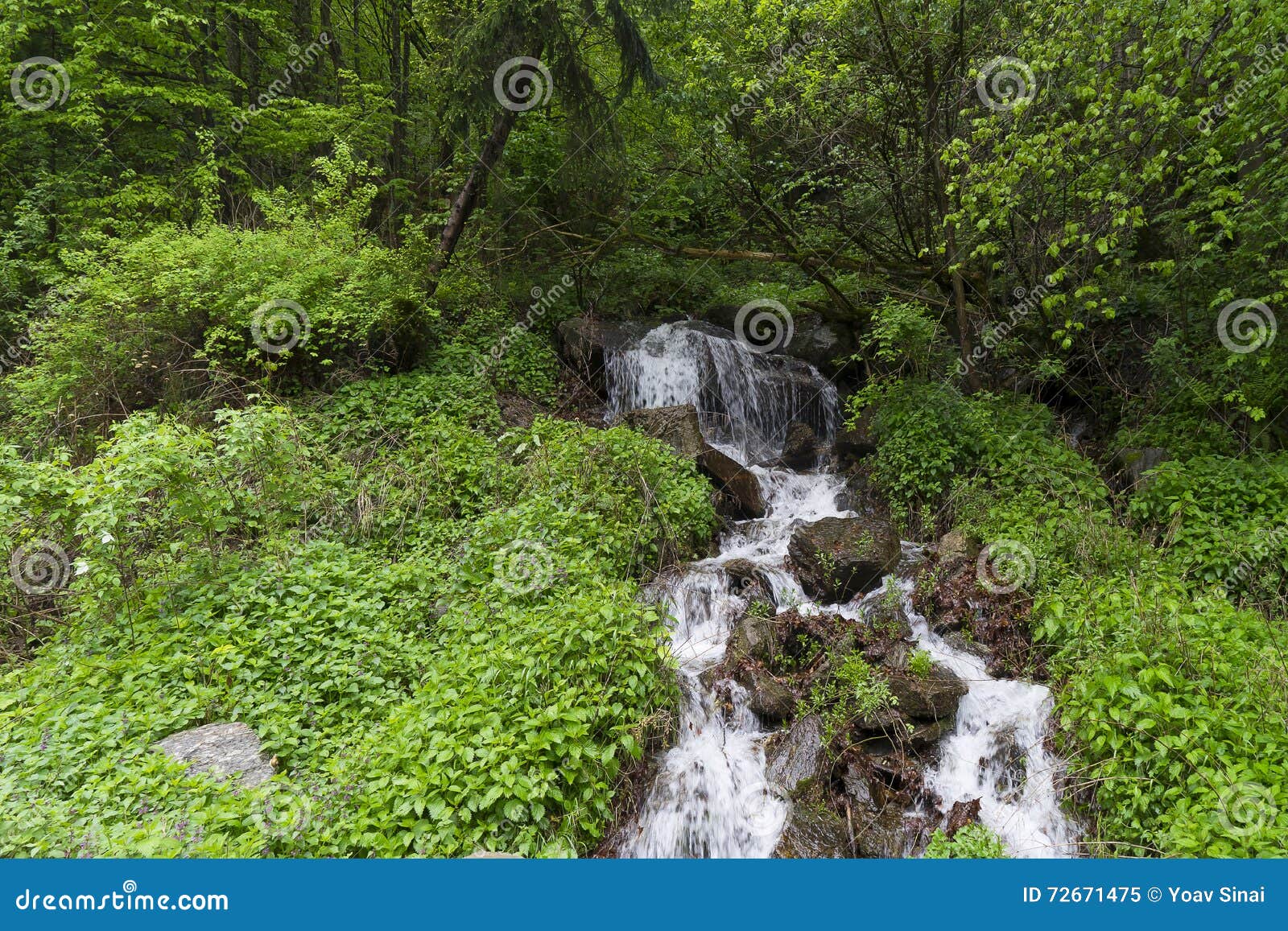 Kleines Wasserfall Dorf Von Capalna Rumänien Stockbild - Bild von ...