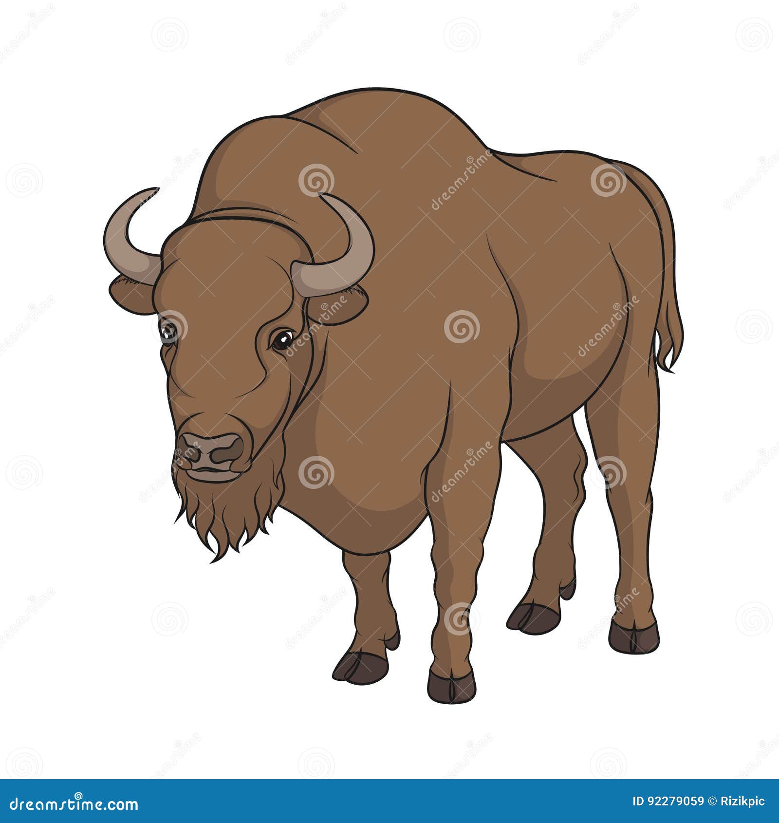 Kleuren Vectorbeeld Van Bizon Vector Illustratie - Illustration of ...