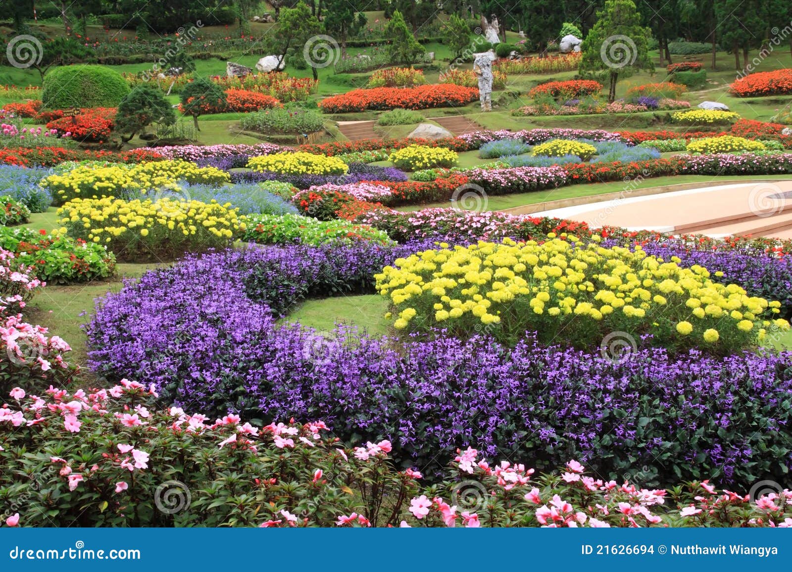 Kleurrijke bloementuin stock foto. Image of werf, kleurrijk - 21626694