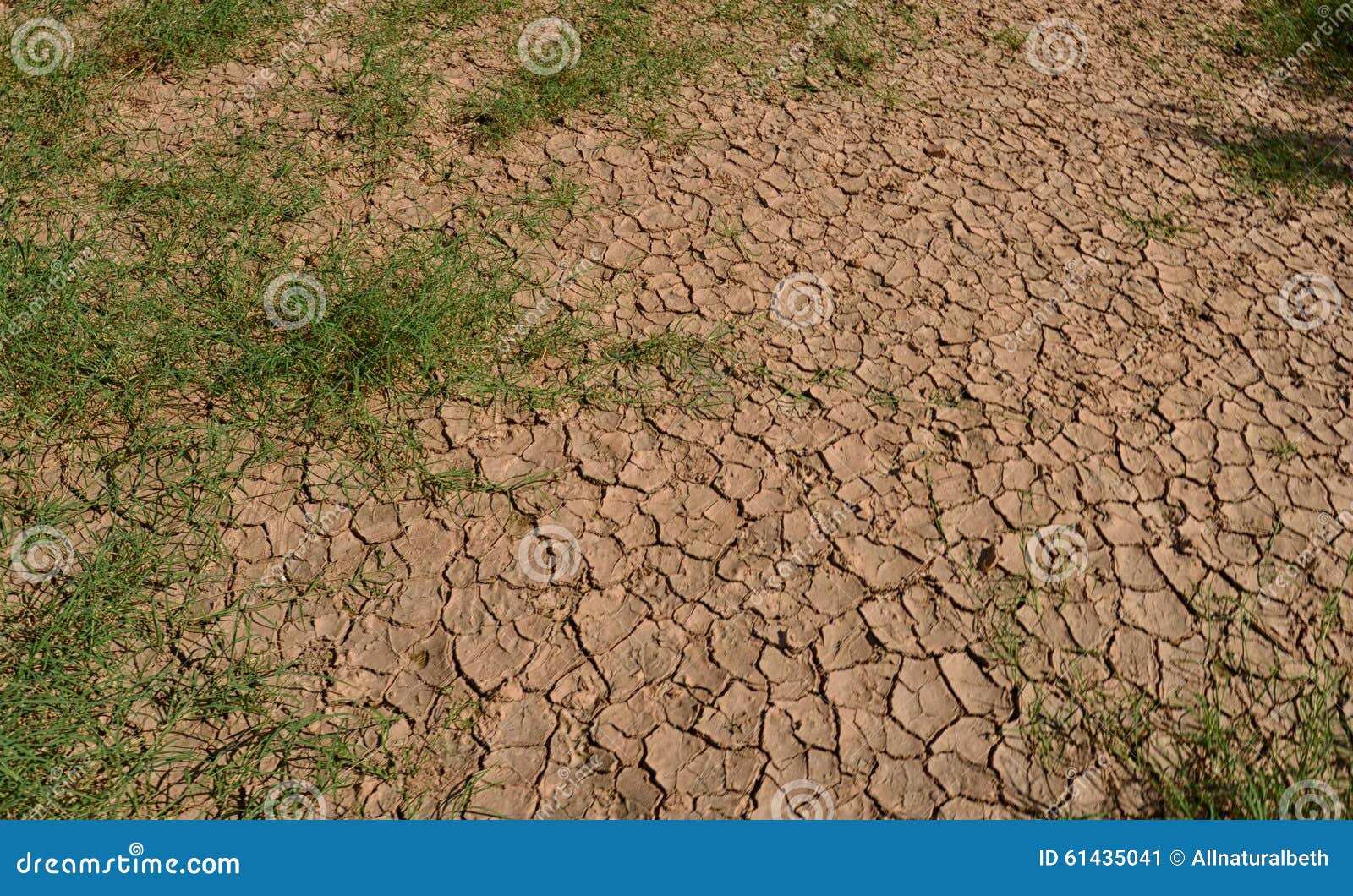 Klimaatverandering En Droogte Stock Afbeelding - Image of verandering ...