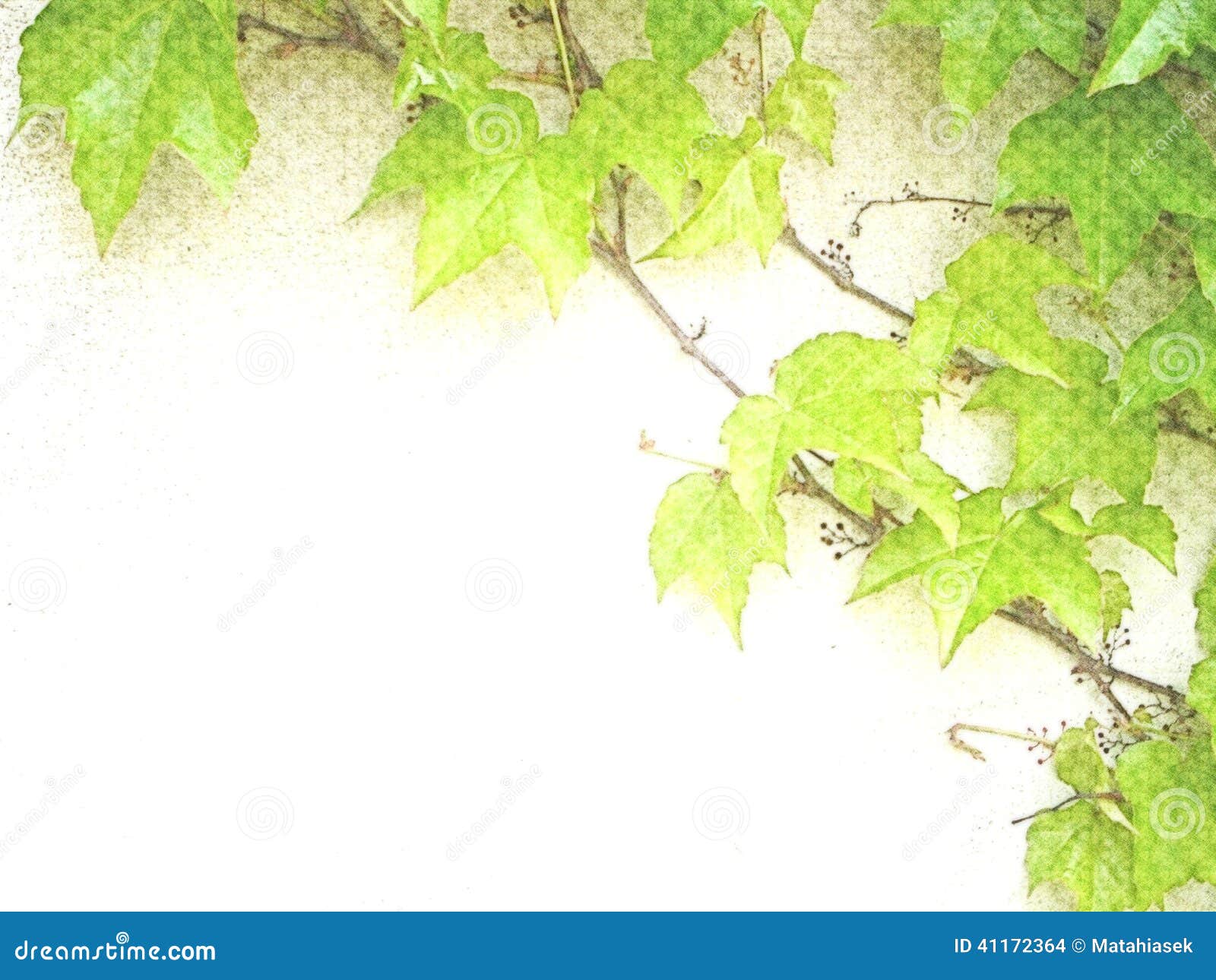 Klimop op de muur-tekening stock foto. Image of klimmer - 41172364