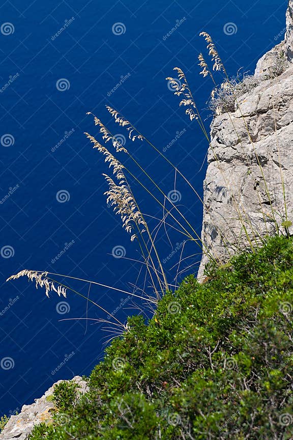Cap de Formentor stockfoto. Bild von anblick, segeln - 29853976
