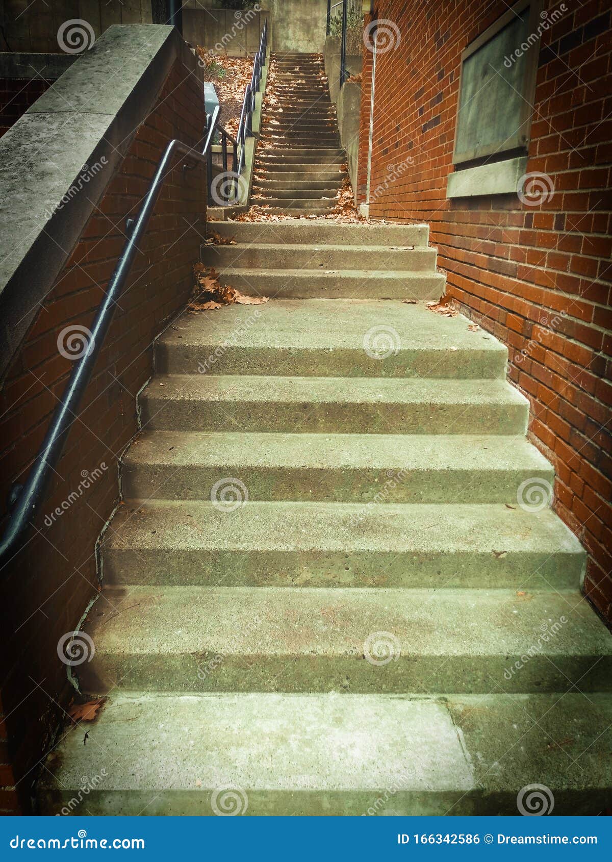 Klodj dammit stock photo. Image of dammit, fall, camus - 166342586