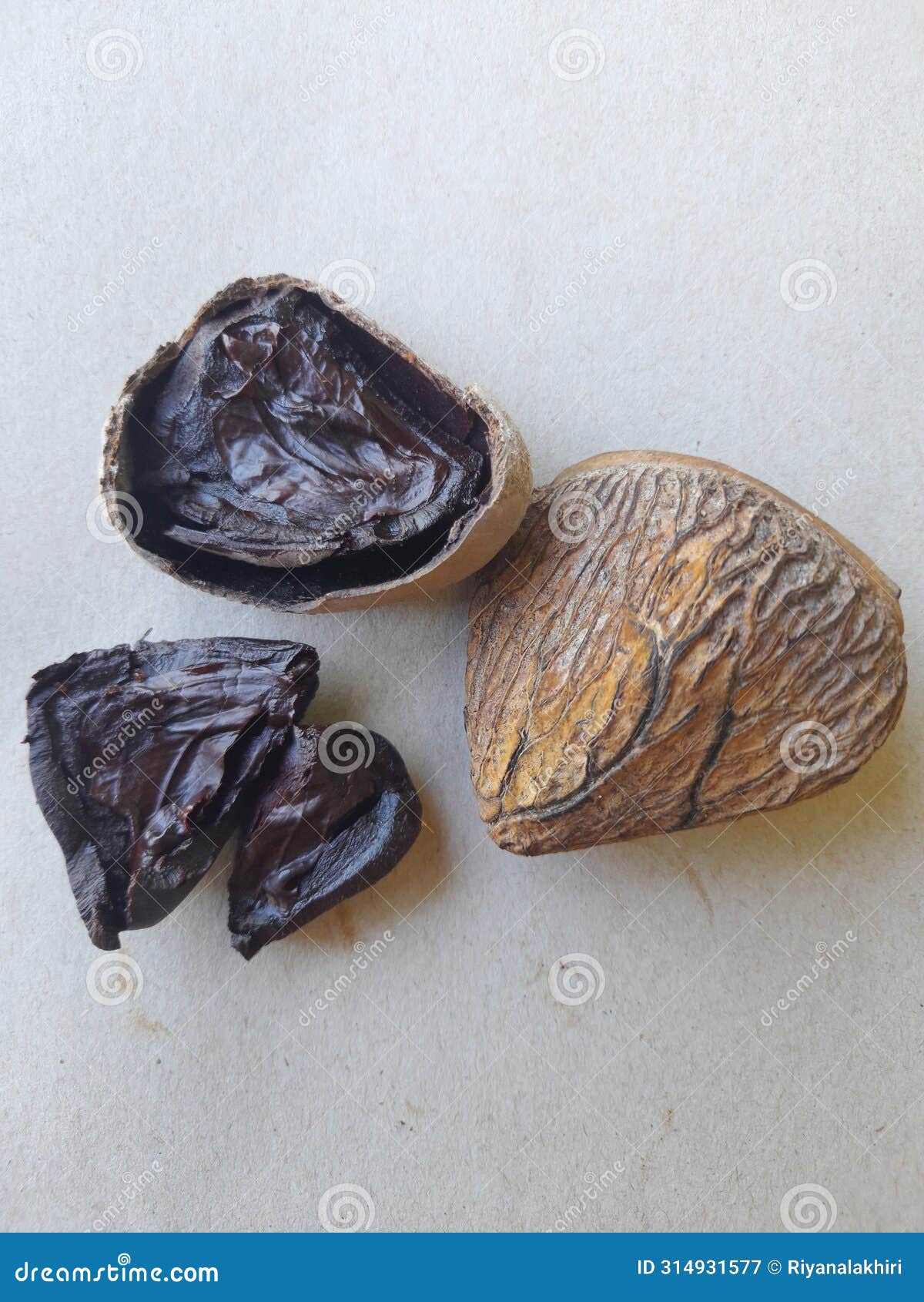 Kluwak is a Plant that is the Main Spice in Rawon Dishes Stock Image ...