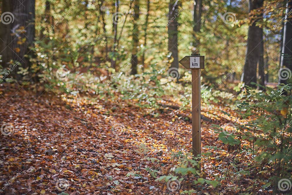 1km sign in the forest stock image. Image of sign, growth - 135014683