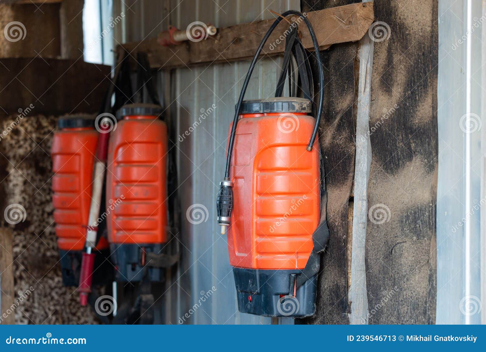 Knapsack Fire Extinguishers As Backpack Using in Forest Stock Image ...
